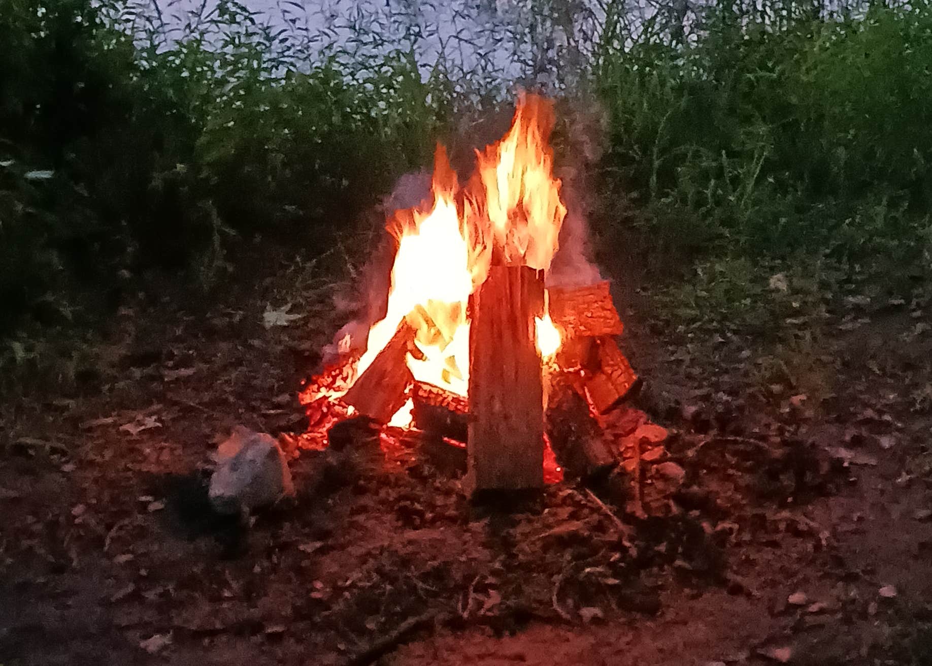 Jackson Island Campground - Dispersed Camping | The Dyrt