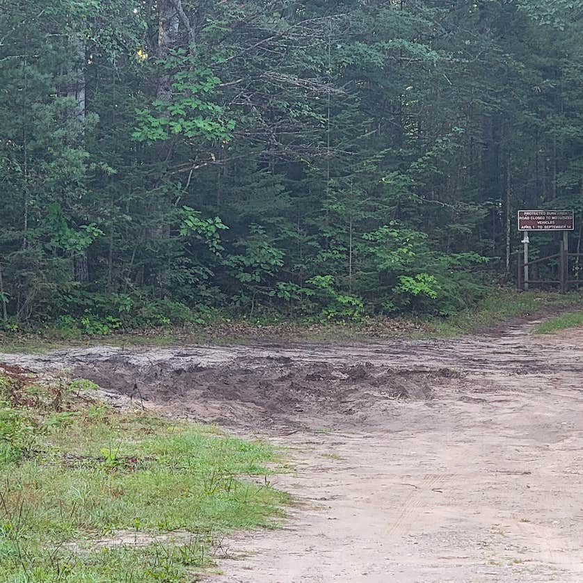 French Farm Lake Rd Camping | The Dyrt
