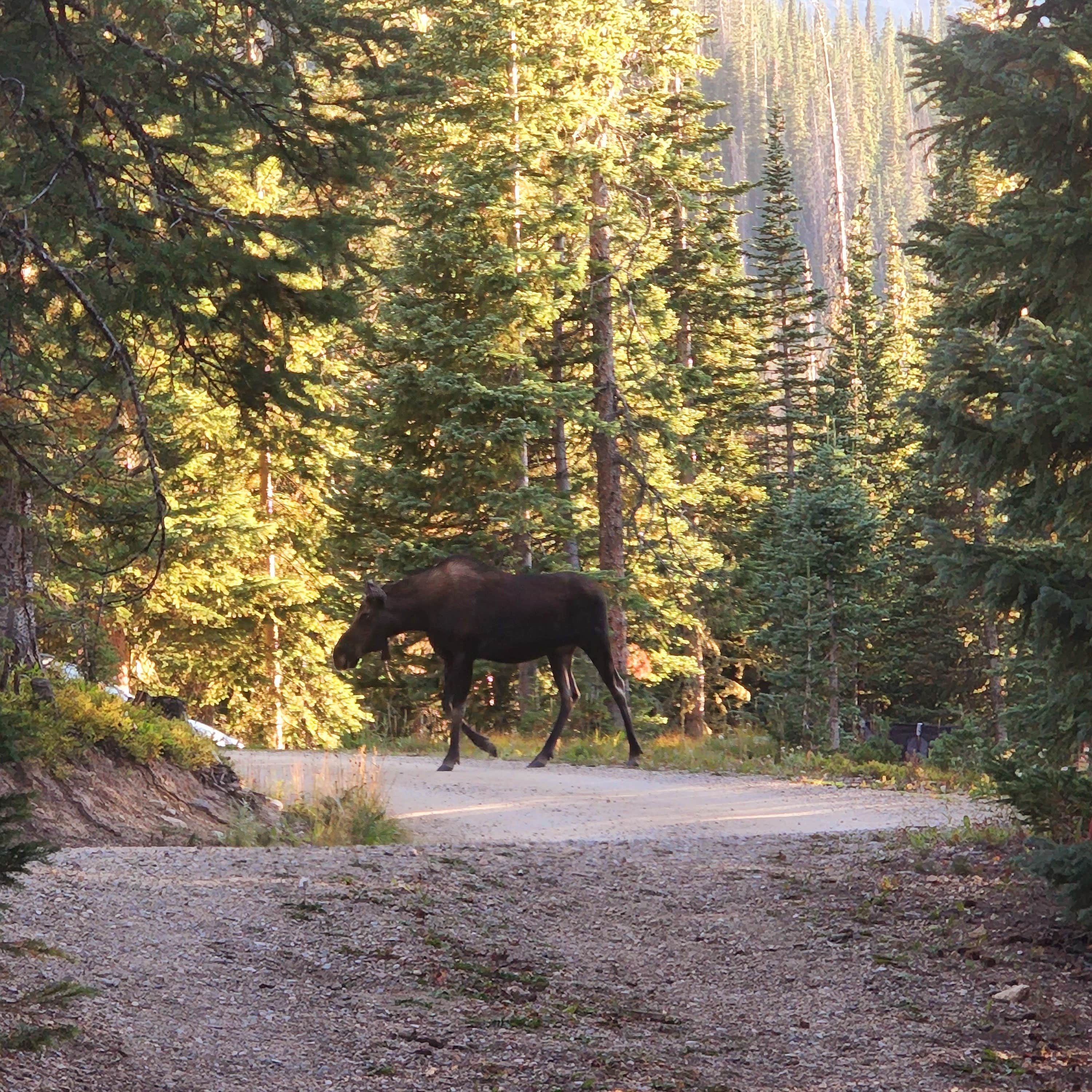 The Crags Campground Camping | The Dyrt
