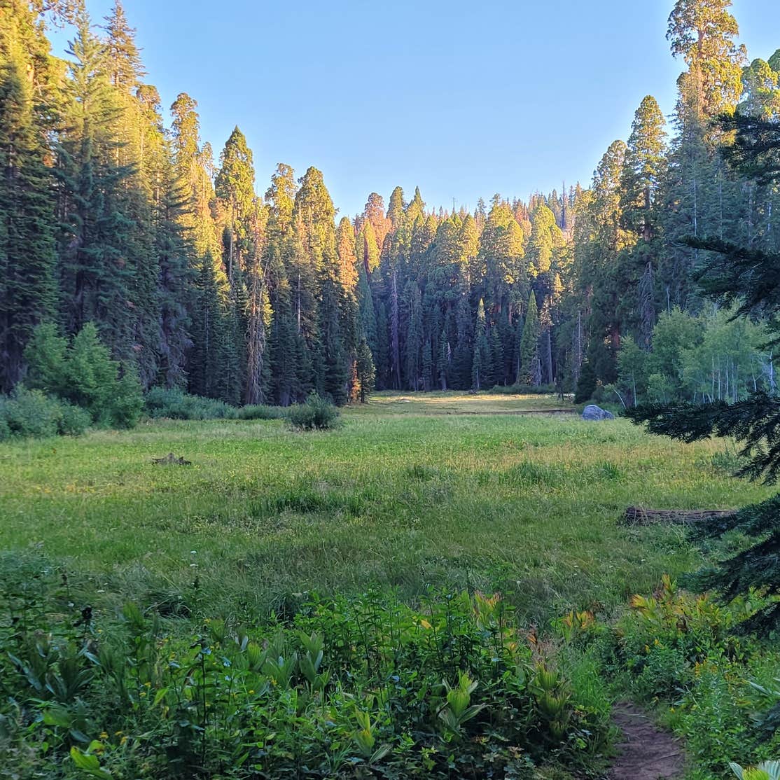Lodgepole Campground — Sequoia National Park | Three rivers, CA
