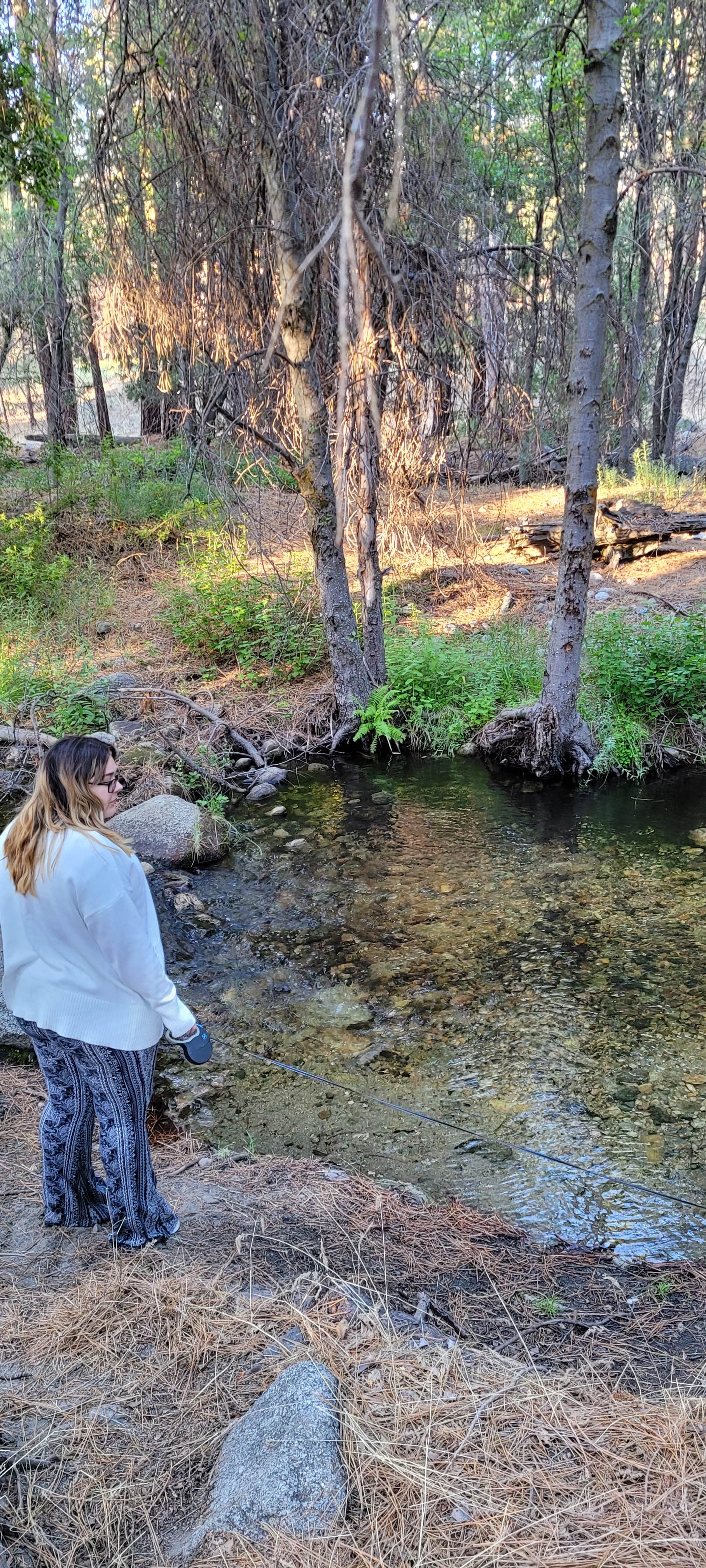 Peppermint Campground | Camp Nelson, CA