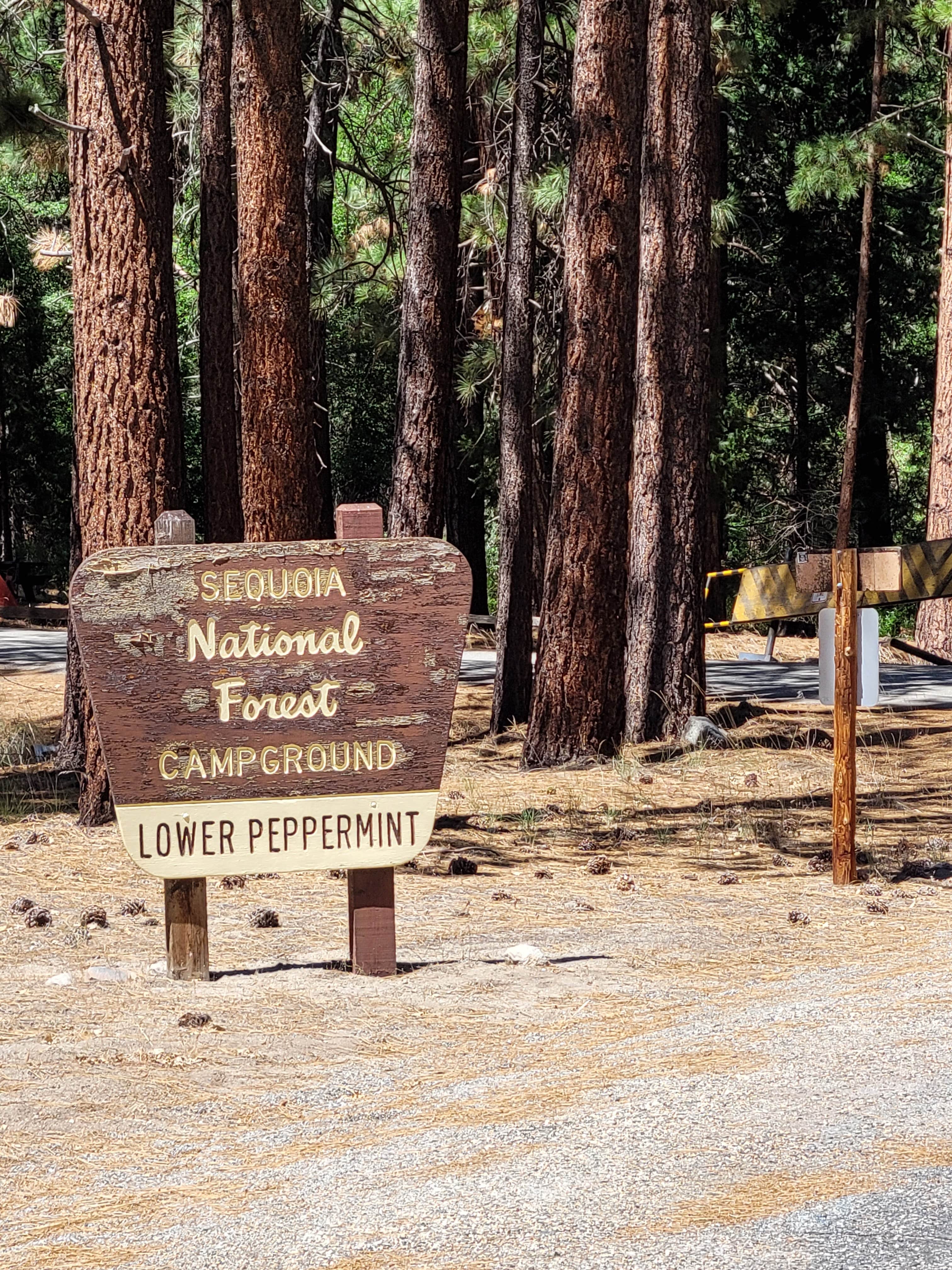 Peppermint Campground | Camp Nelson, CA