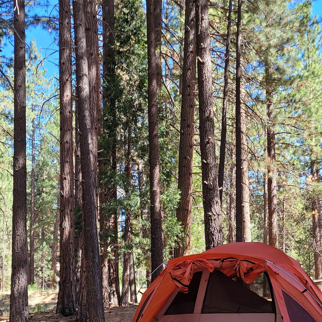 Peppermint Campground | Camp Nelson, California