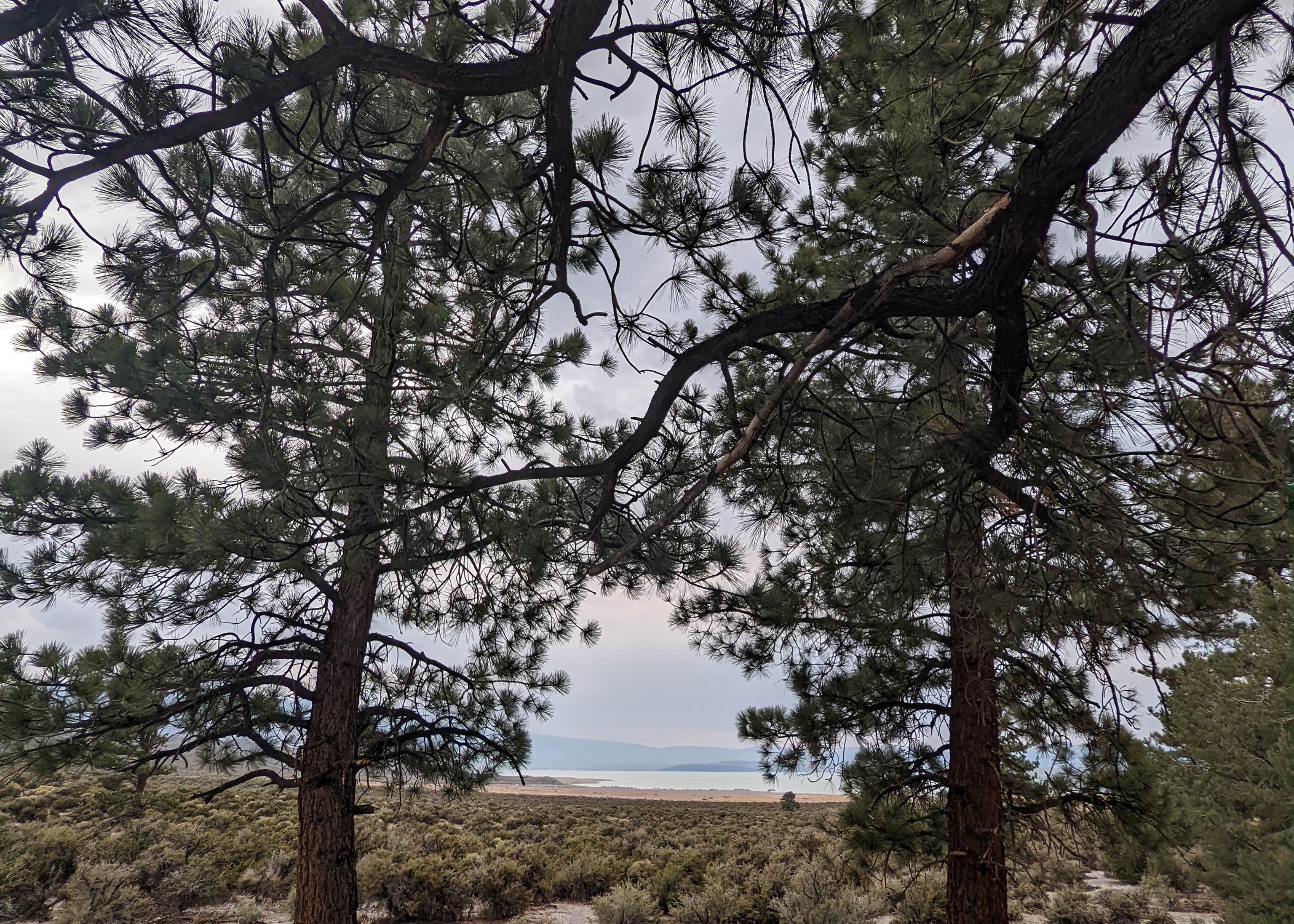 Mono Lake South Dispersed Camping | The Dyrt