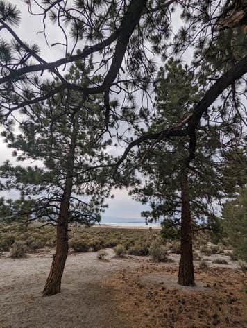 Mono Lake South Dispersed Camping | The Dyrt