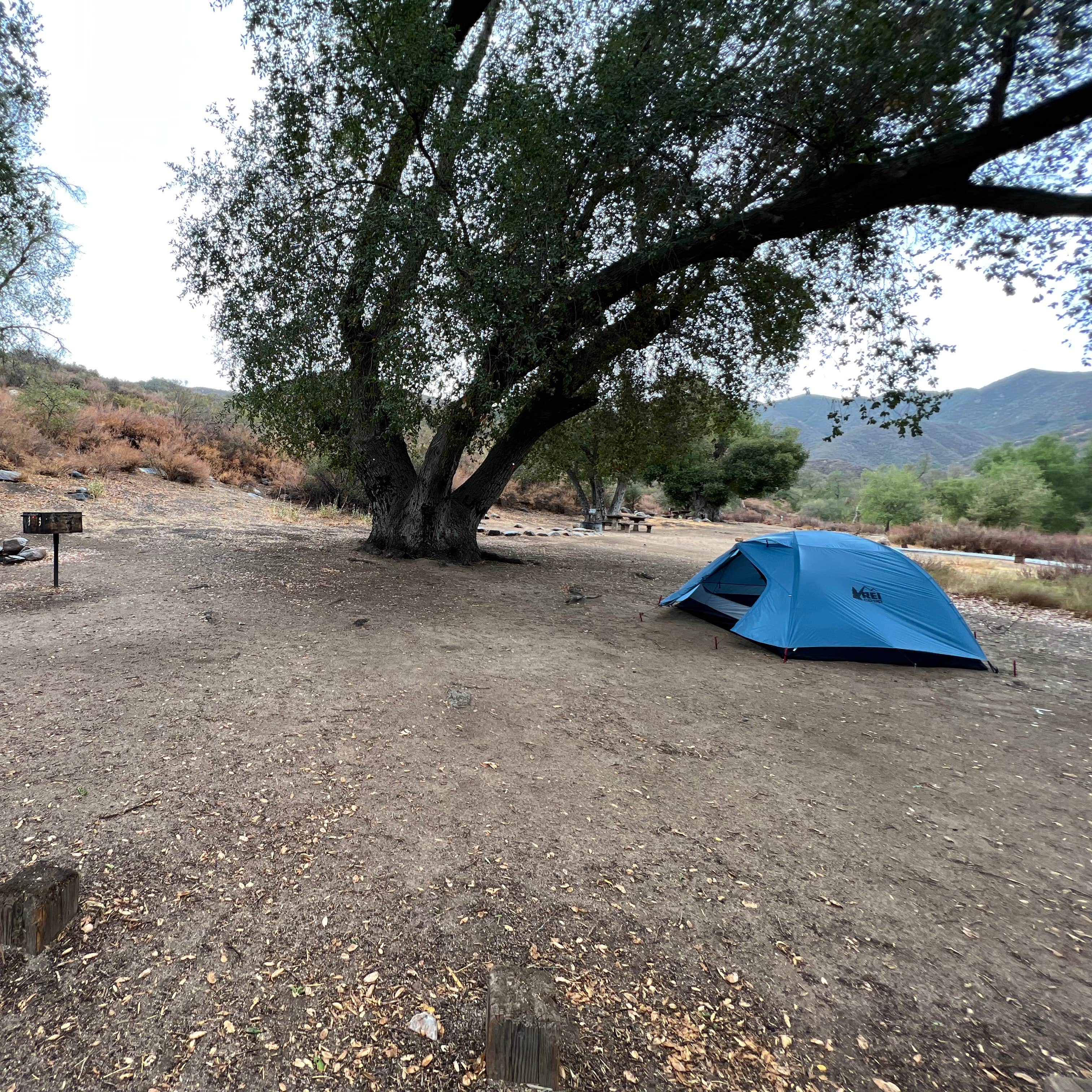 Dripping Springs Campground | Aguanga, California