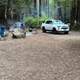 Gualala River Redwood Park Camping | Gualala, California