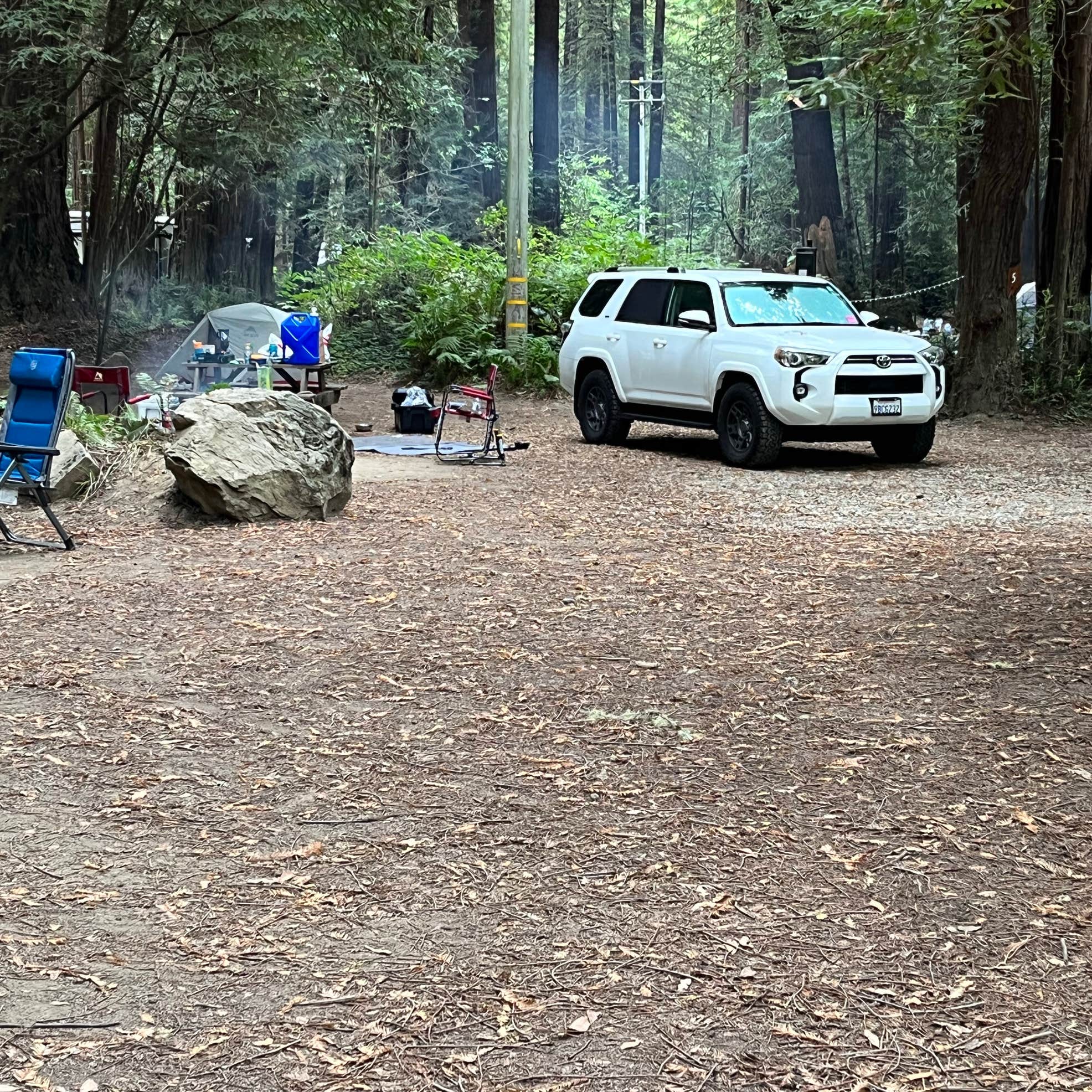 Gualala River Redwood Park Camping | Gualala, California