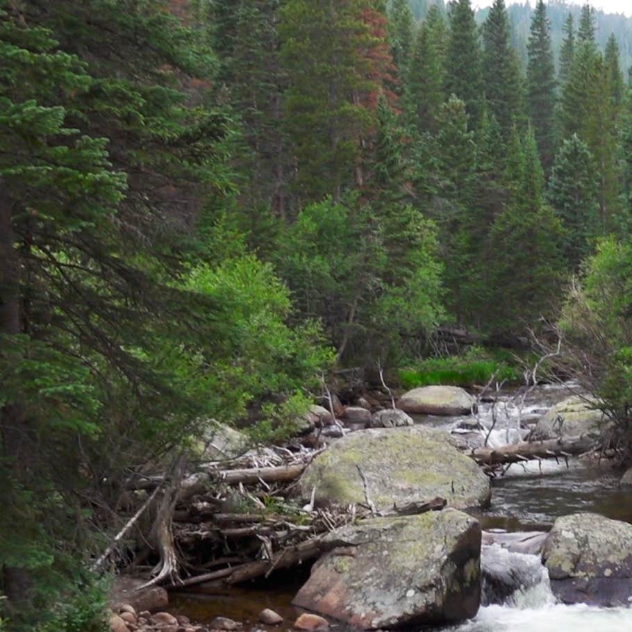 Roosevelt National Forest Camp Dick Campground | Ward, Colorado