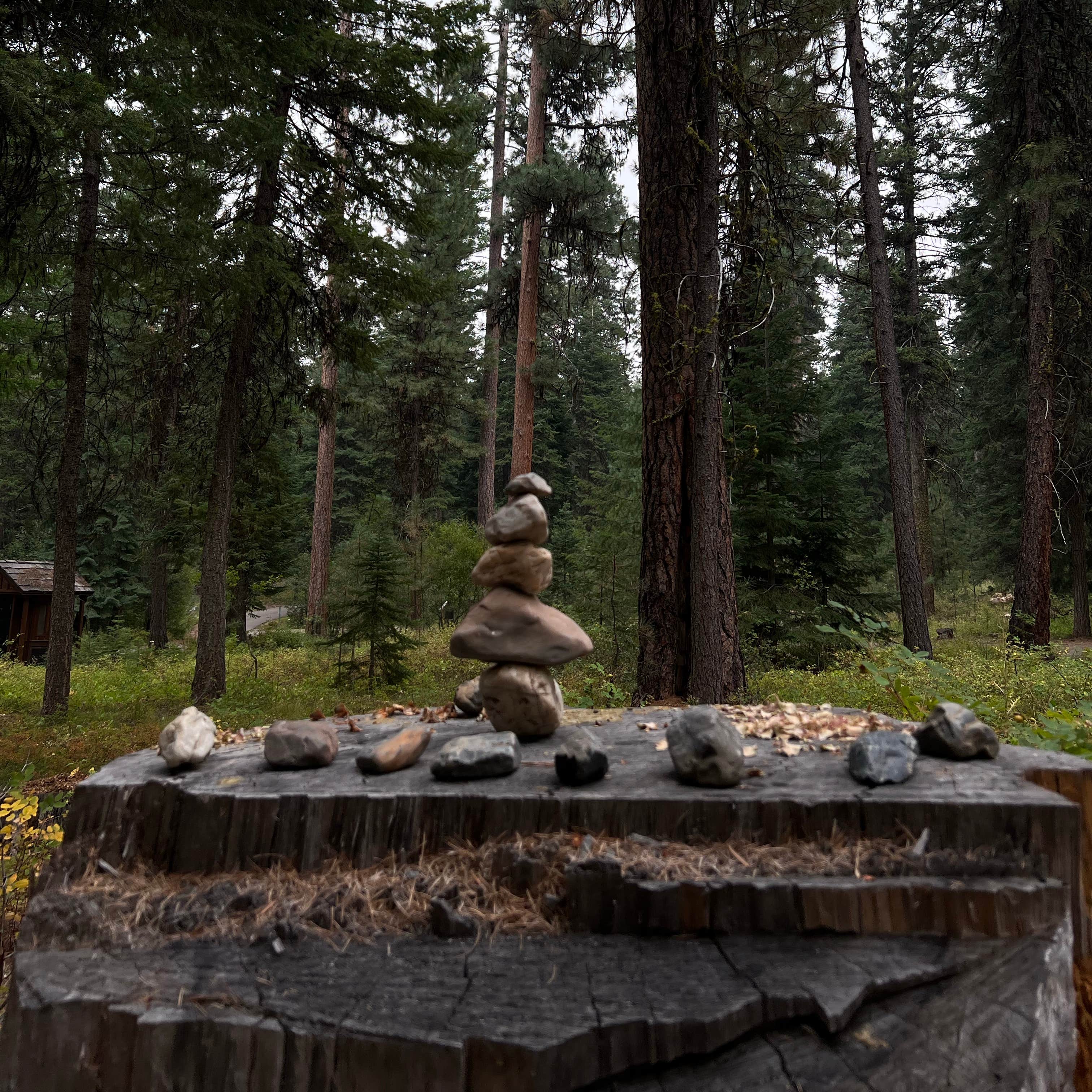 Wetmore Campground | Unity, Oregon