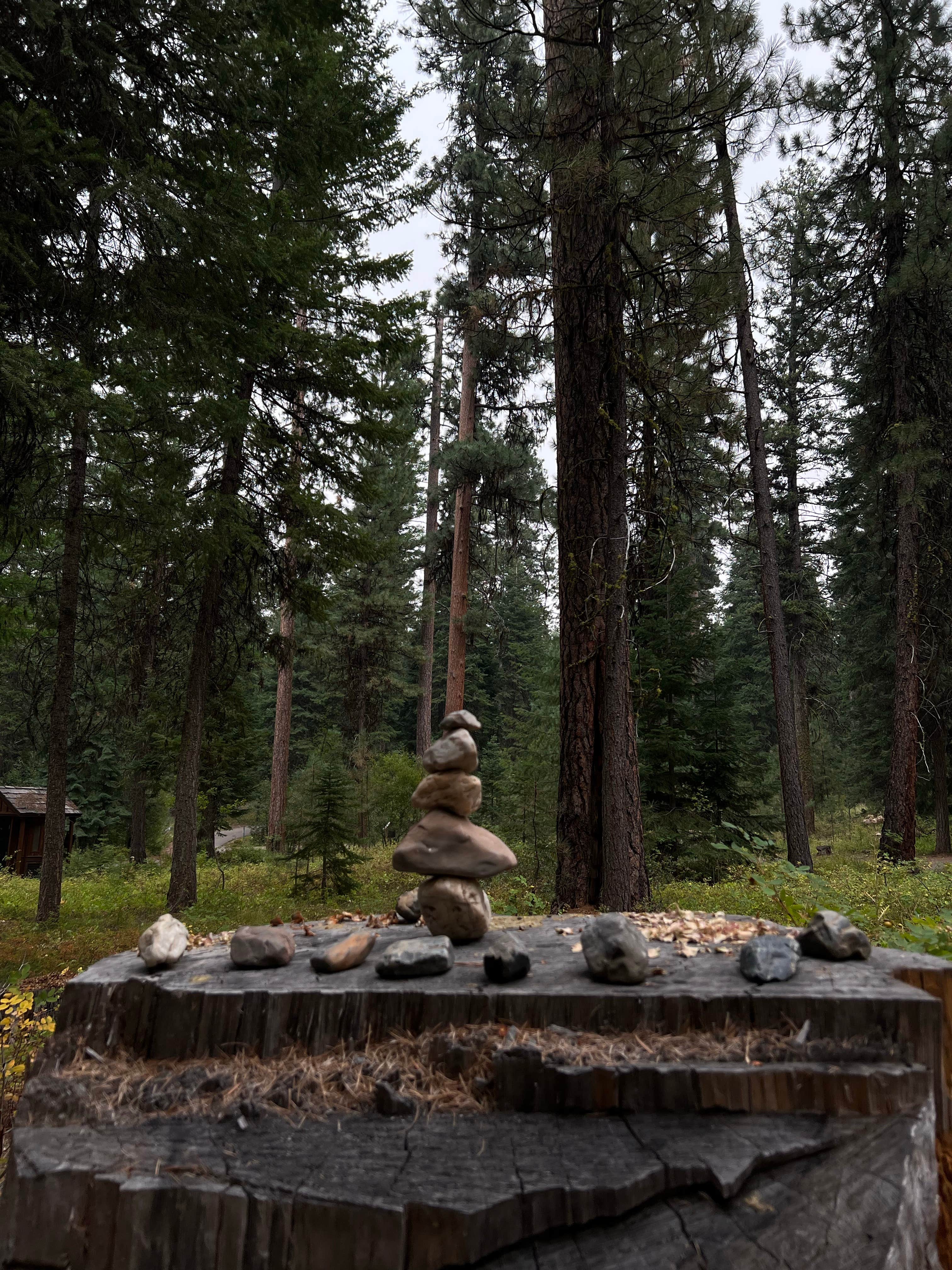 Wetmore Campground | Unity, Oregon