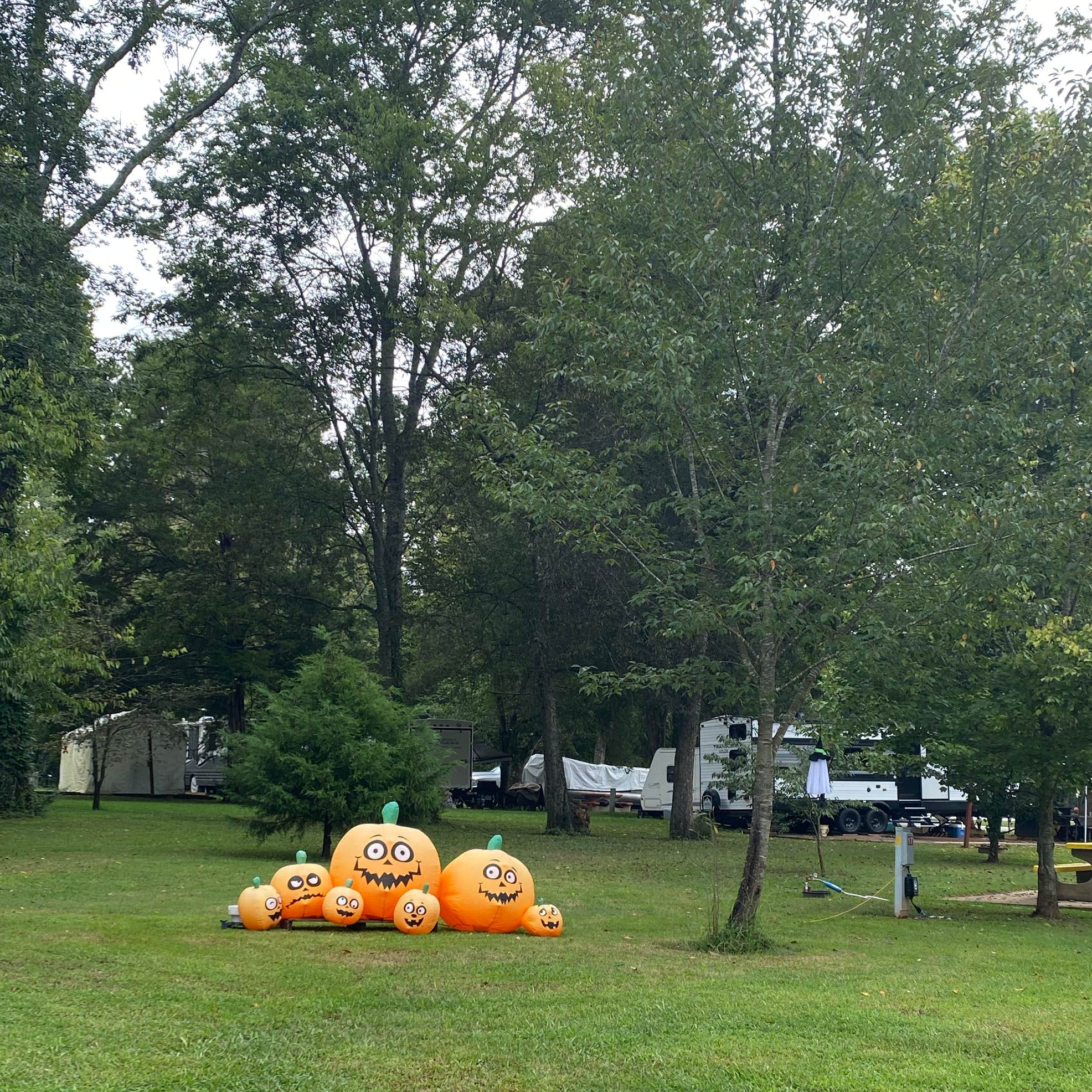 Shellmound RV Resort & Campground | Jasper, Tennessee
