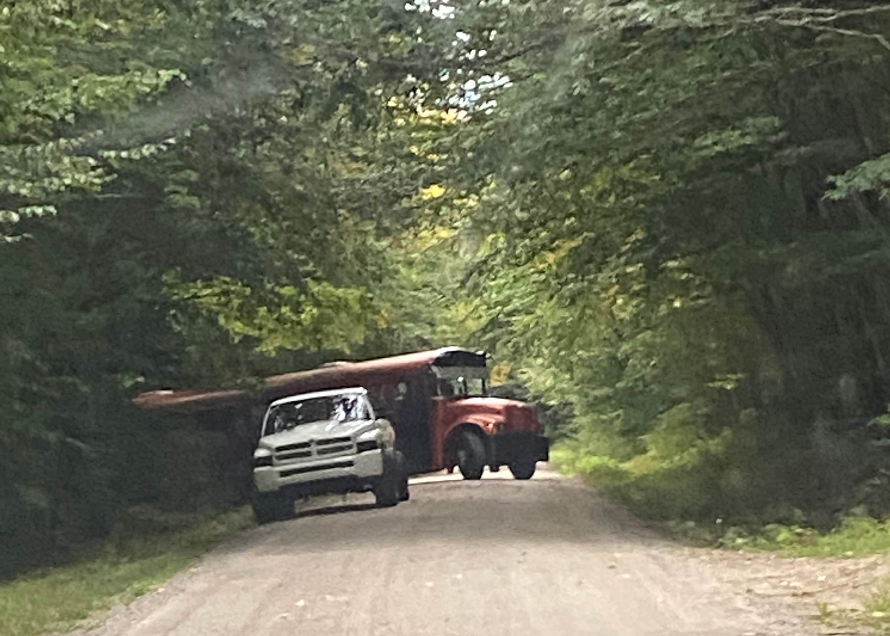 Gale River Loop Road Camping | The Dyrt