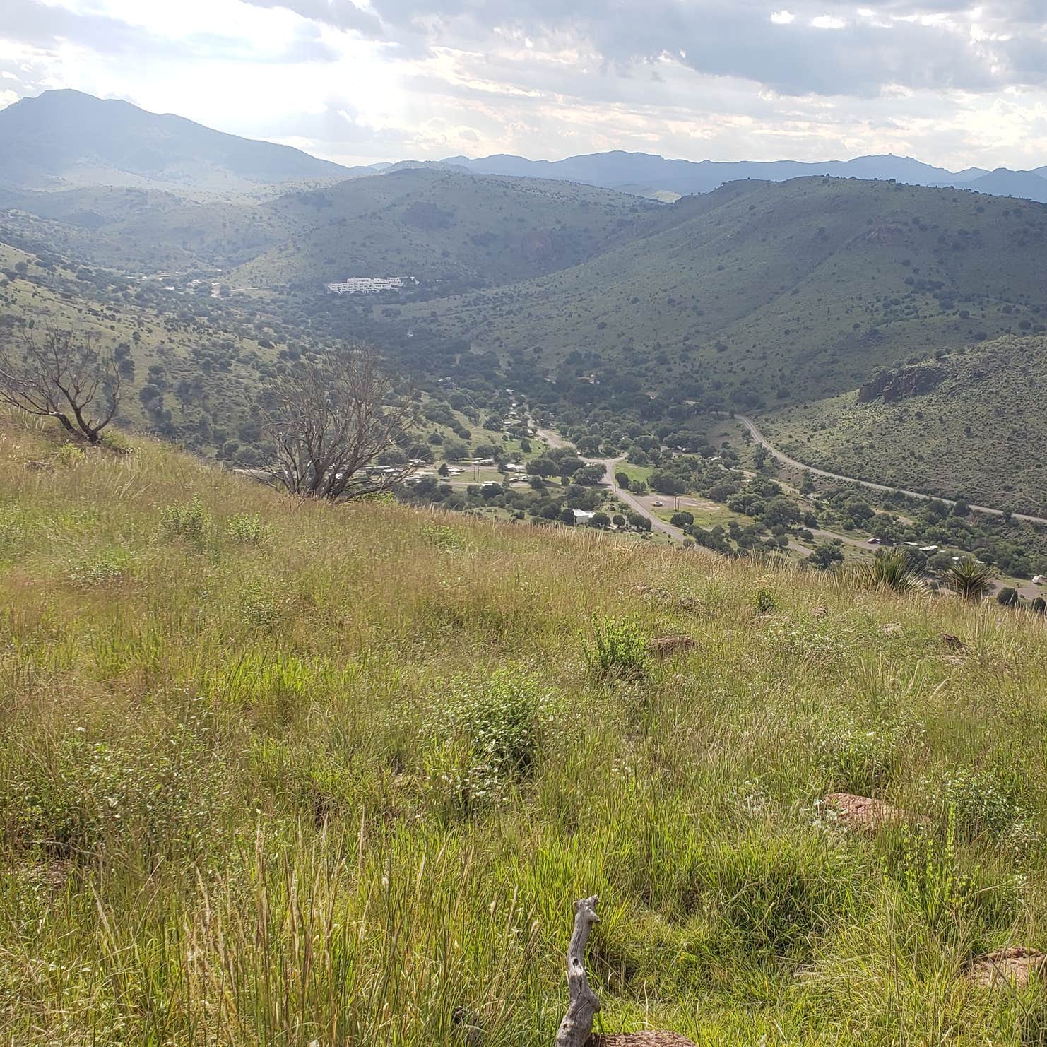 Davis Mountains State Park Camping | The Dyrt