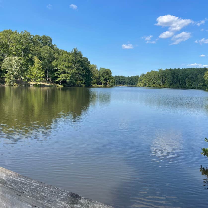 Cub Lake Campground #1 — Natchez Trace State Park | Wildersville, Tennessee