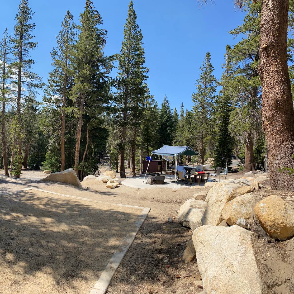 Mount Rose Campground | markleeville, CA