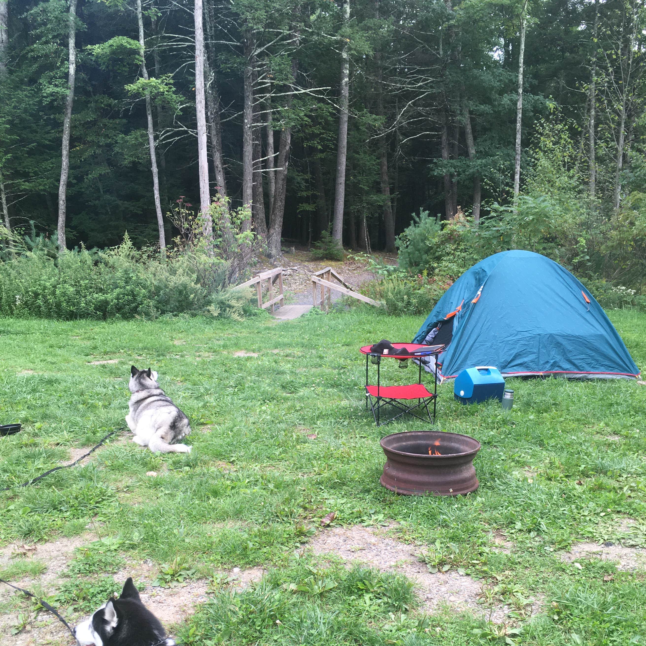 Rip Van Winkle Campgrounds | Saugerties, New York