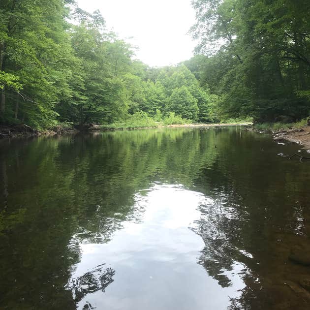 Cranberry River Sites NF Campground | Richwood, West Virginia