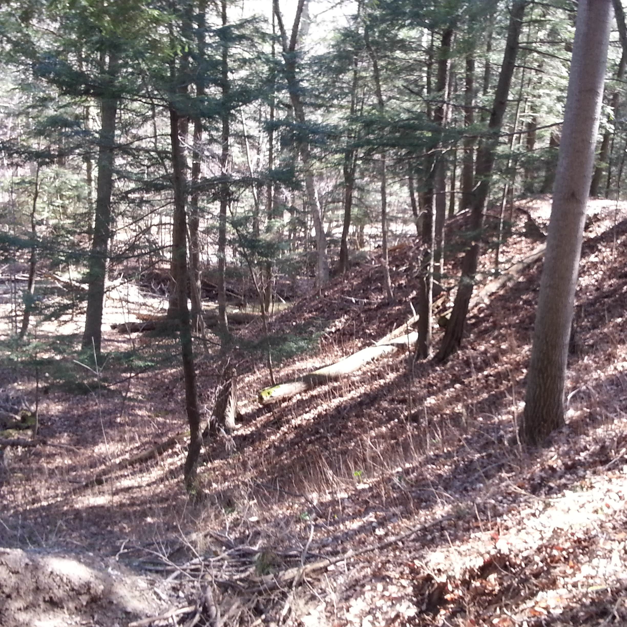 D-bar-A Scout Ranch (Boy Scout Use Only) Camping | The Dyrt