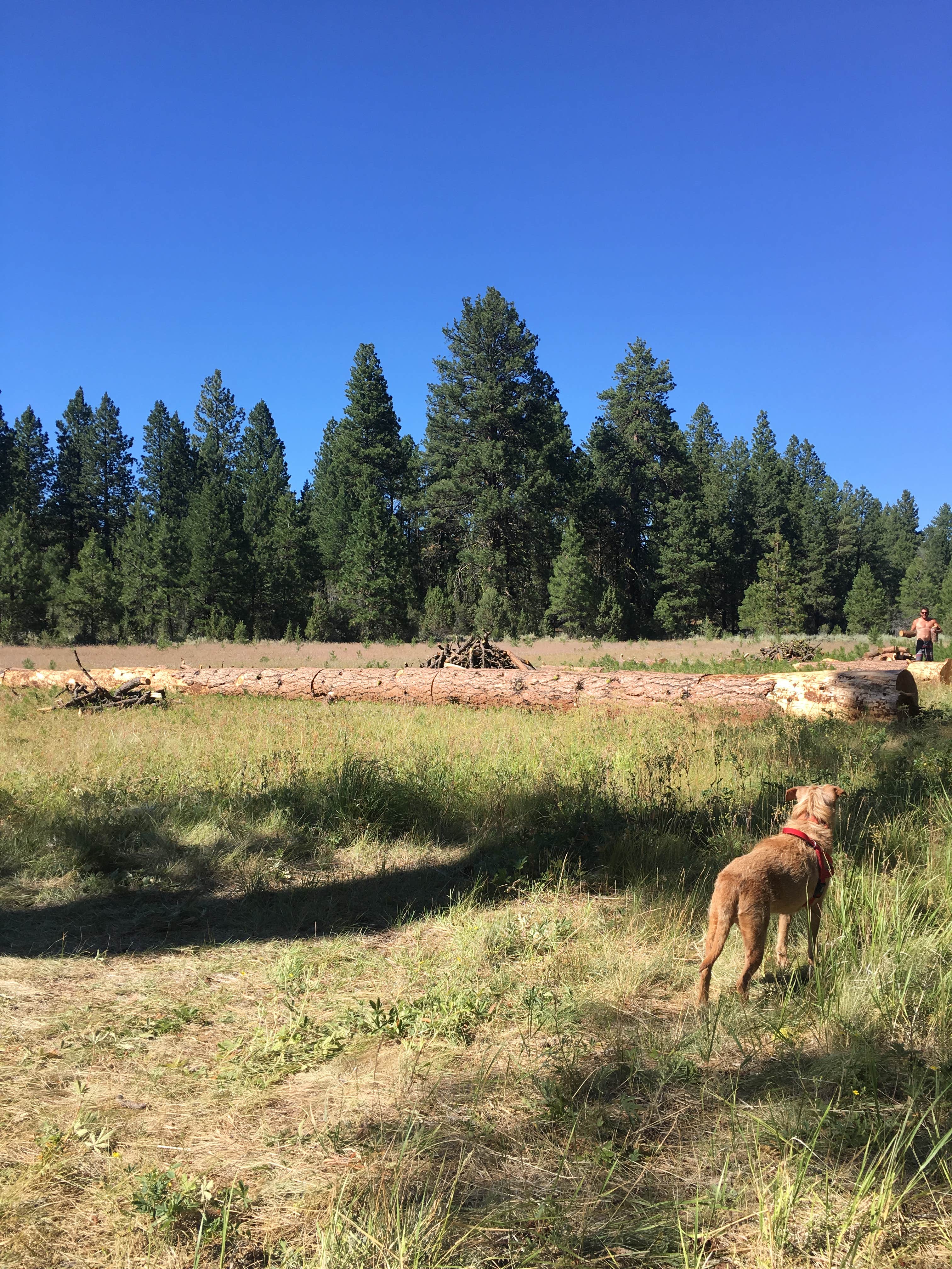 Malheur/Idlewild Campground | The Dyrt