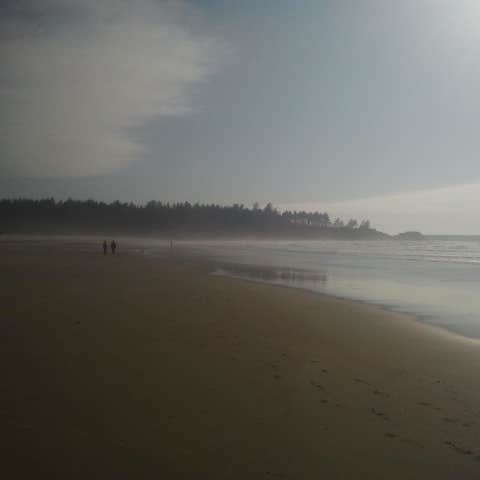 Bastendorff Beach Park Camping | The Dyrt