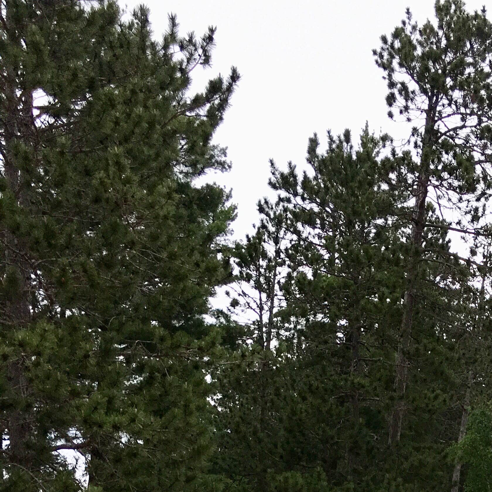 McCarthy Beach Sidelake Campground Camping | The Dyrt