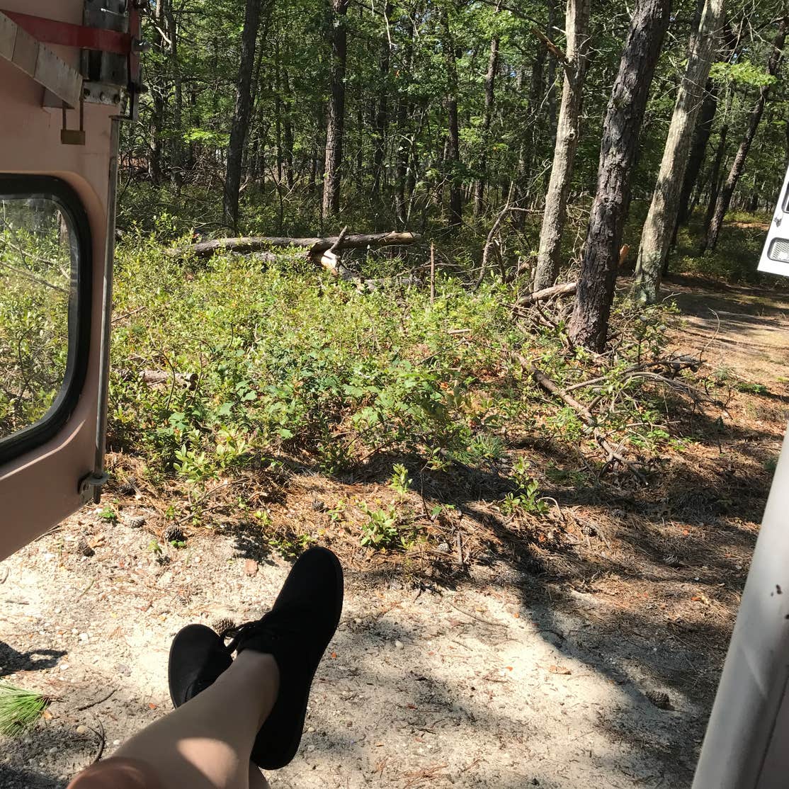 Sears Bellows County Park Camping | The Dyrt