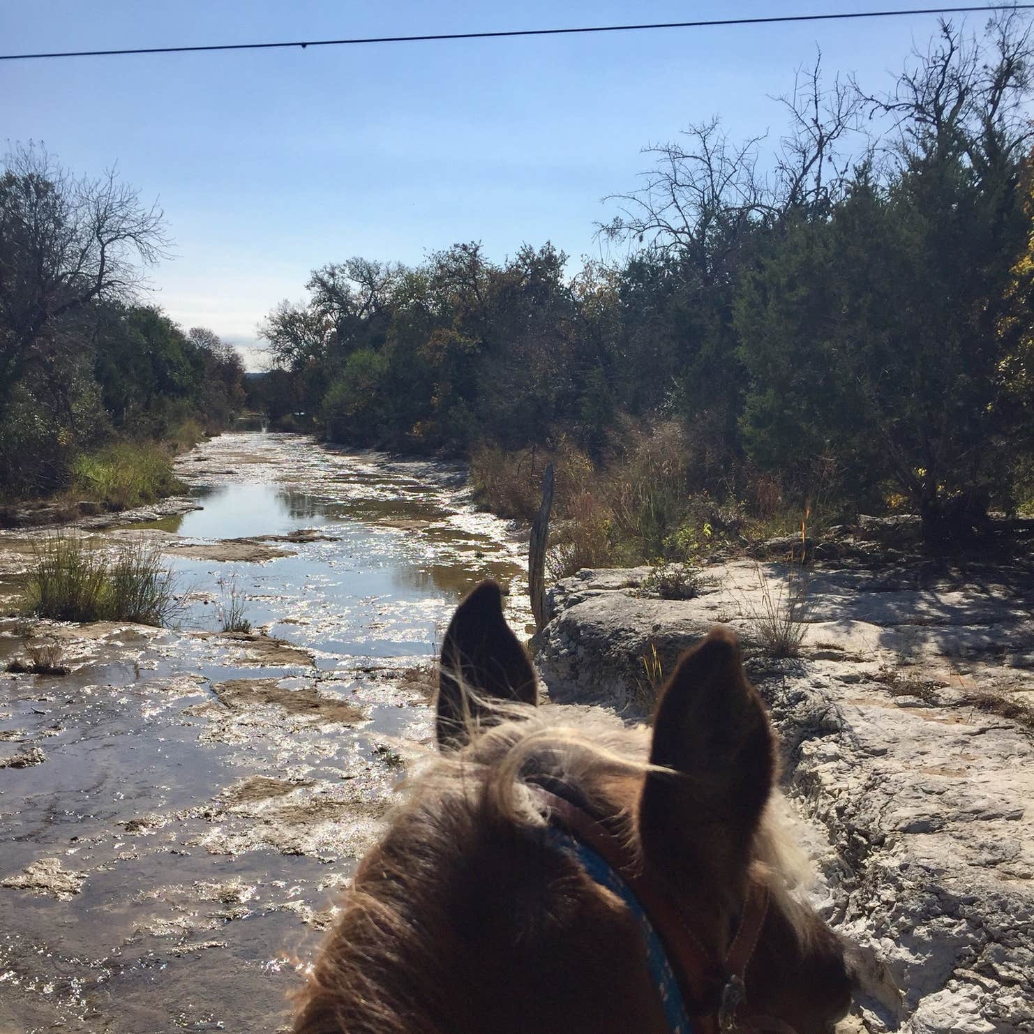 Trailhead Equestrian Campground — Hill Country State Natural Area ...