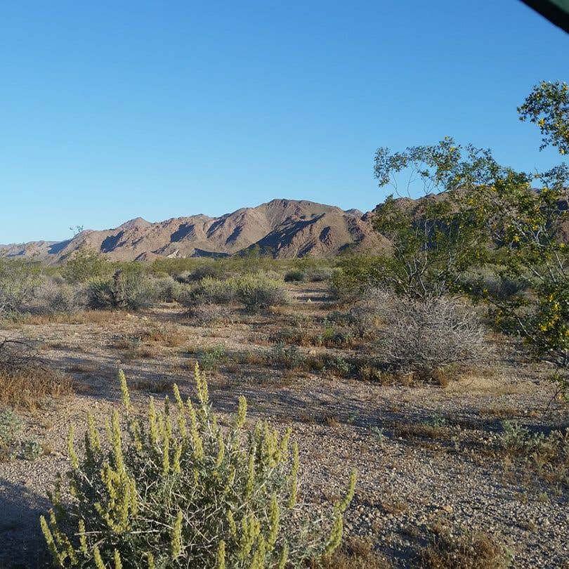 Chiriaco Summit Dry Camp Area Camping | The Dyrt