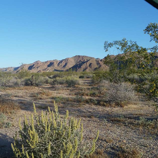 Chiriaco Summit Dry Camp Area Camping | The Dyrt