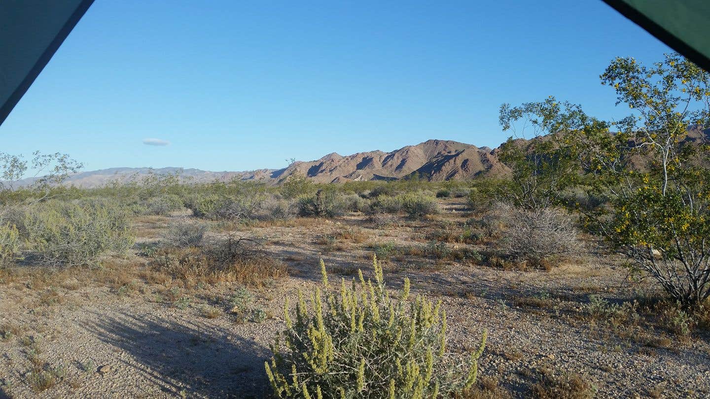 Chiriaco Summit Dry Camp Area Camping | The Dyrt