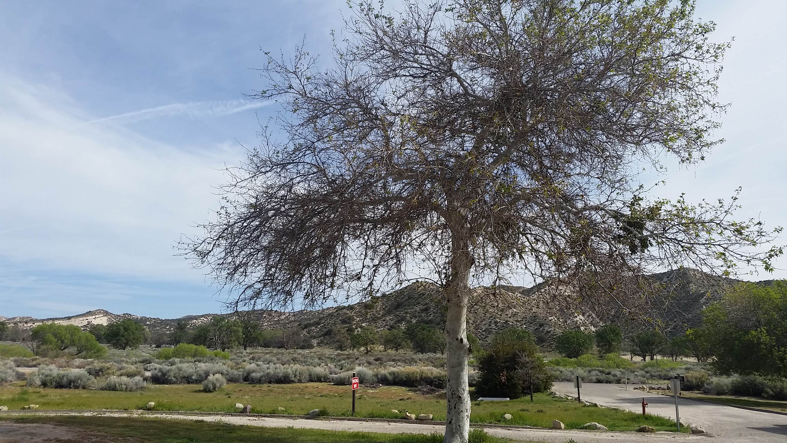 Los Alamos Campground at Pyramid Lake Camping | The Dyrt