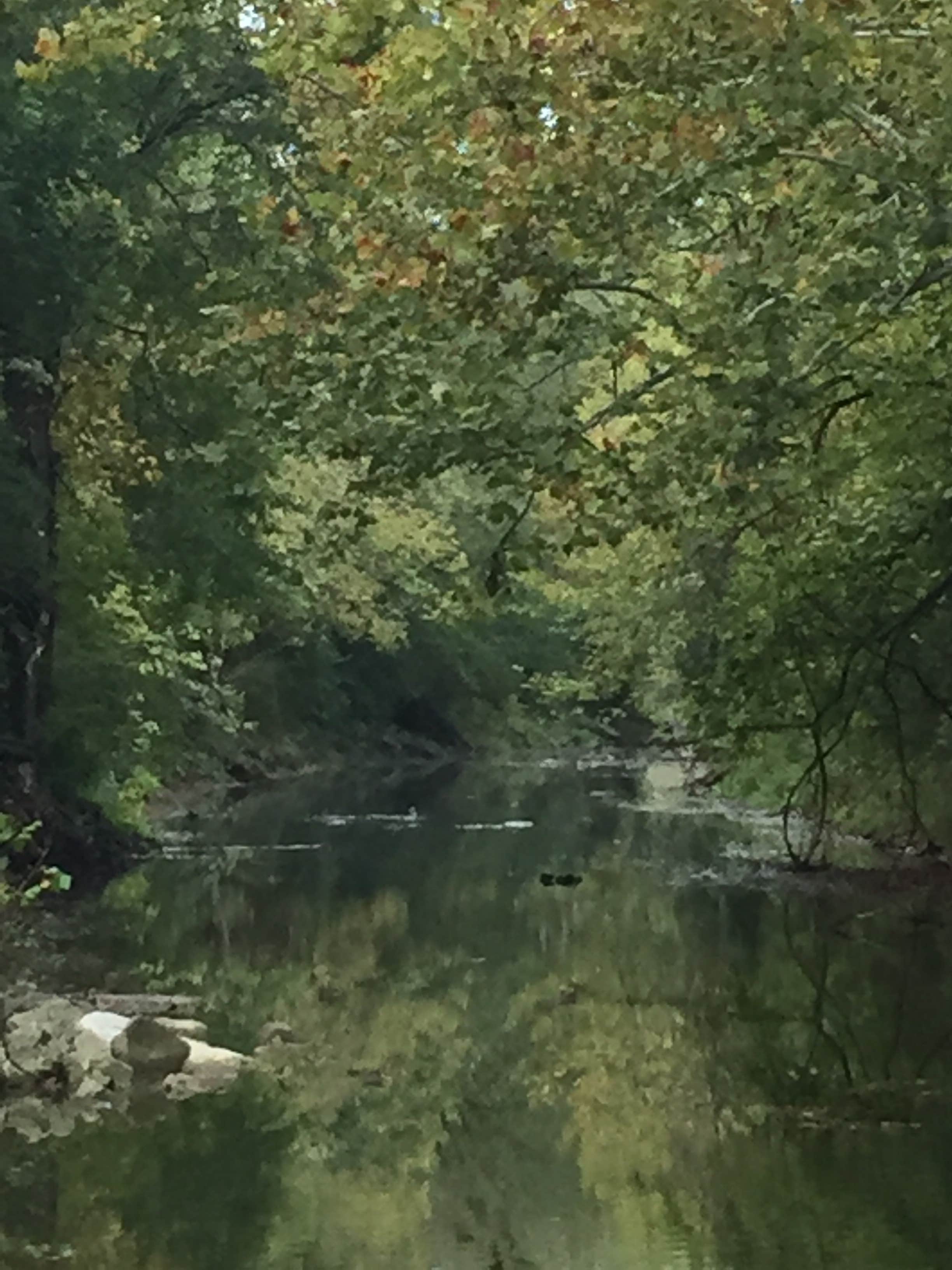 Miami Whitewater Forest Campground | The Dyrt