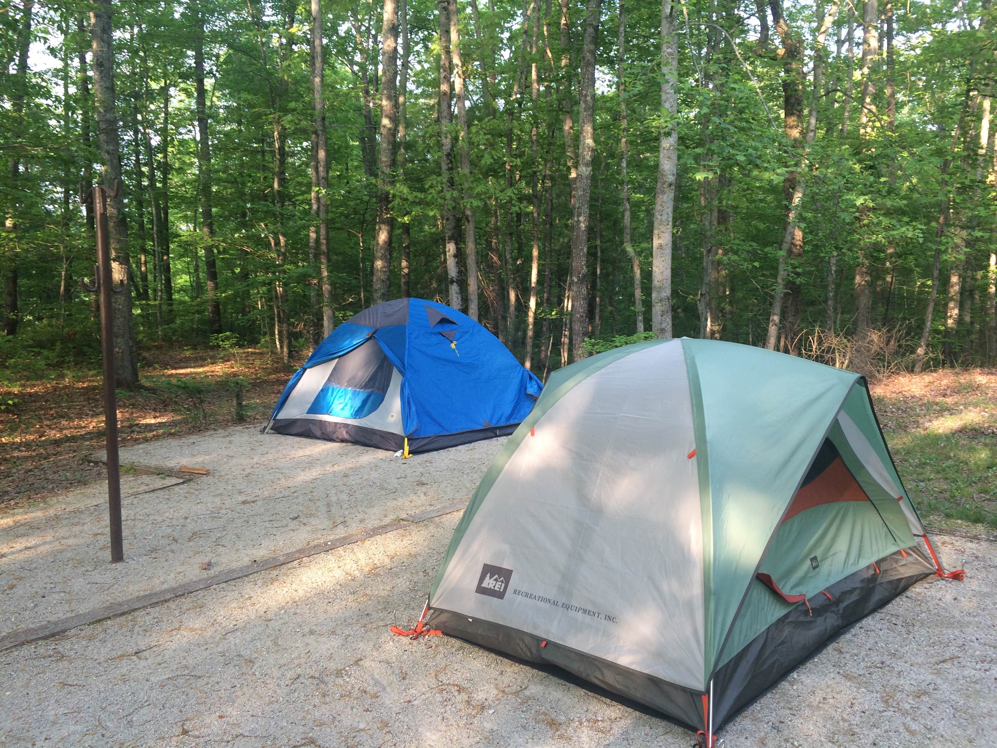 Koomer Ridge Campground — Daniel Boone National Forest | Pine Ridge ...