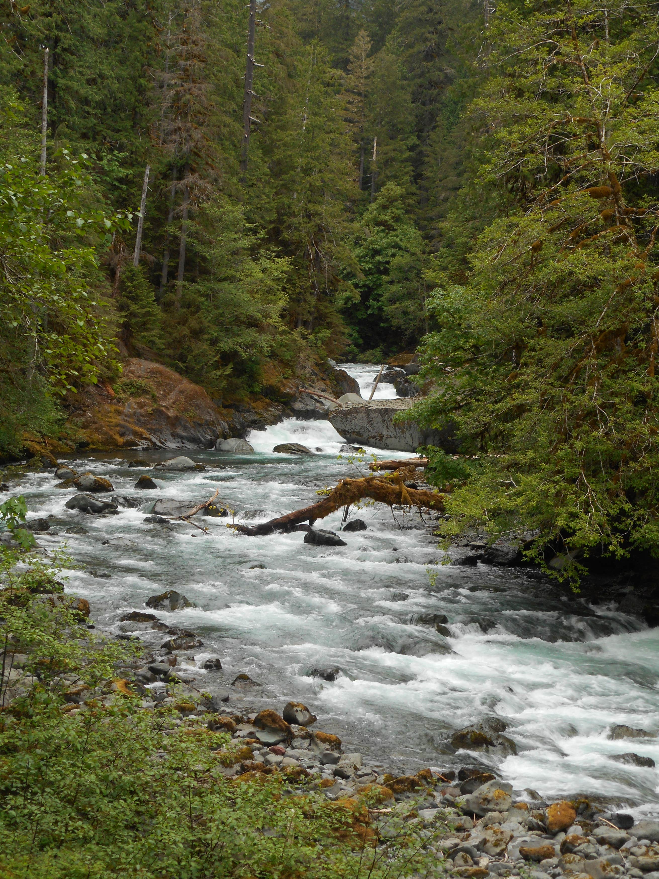 Big Log Camping | The Dyrt