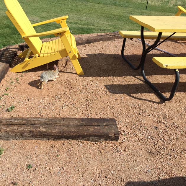 Falcon Meadow RV Campground | Colorado Springs, Colorado