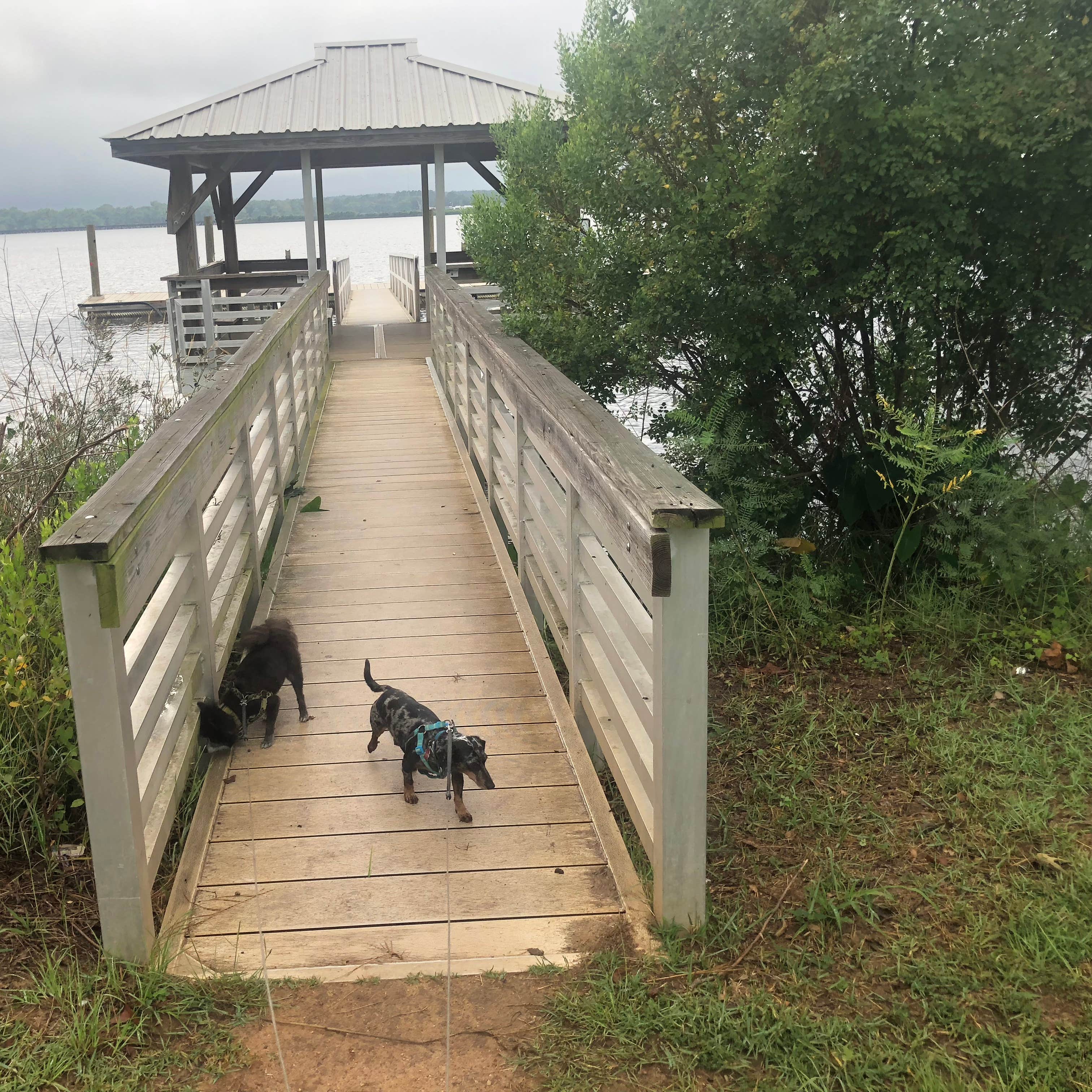 Georgia Veterans State Park Camping | The Dyrt