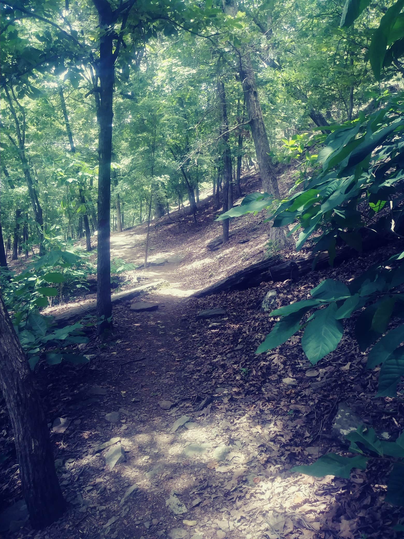 Shiloh - Greers Ferry Lake Camping | Greers ferry, AR