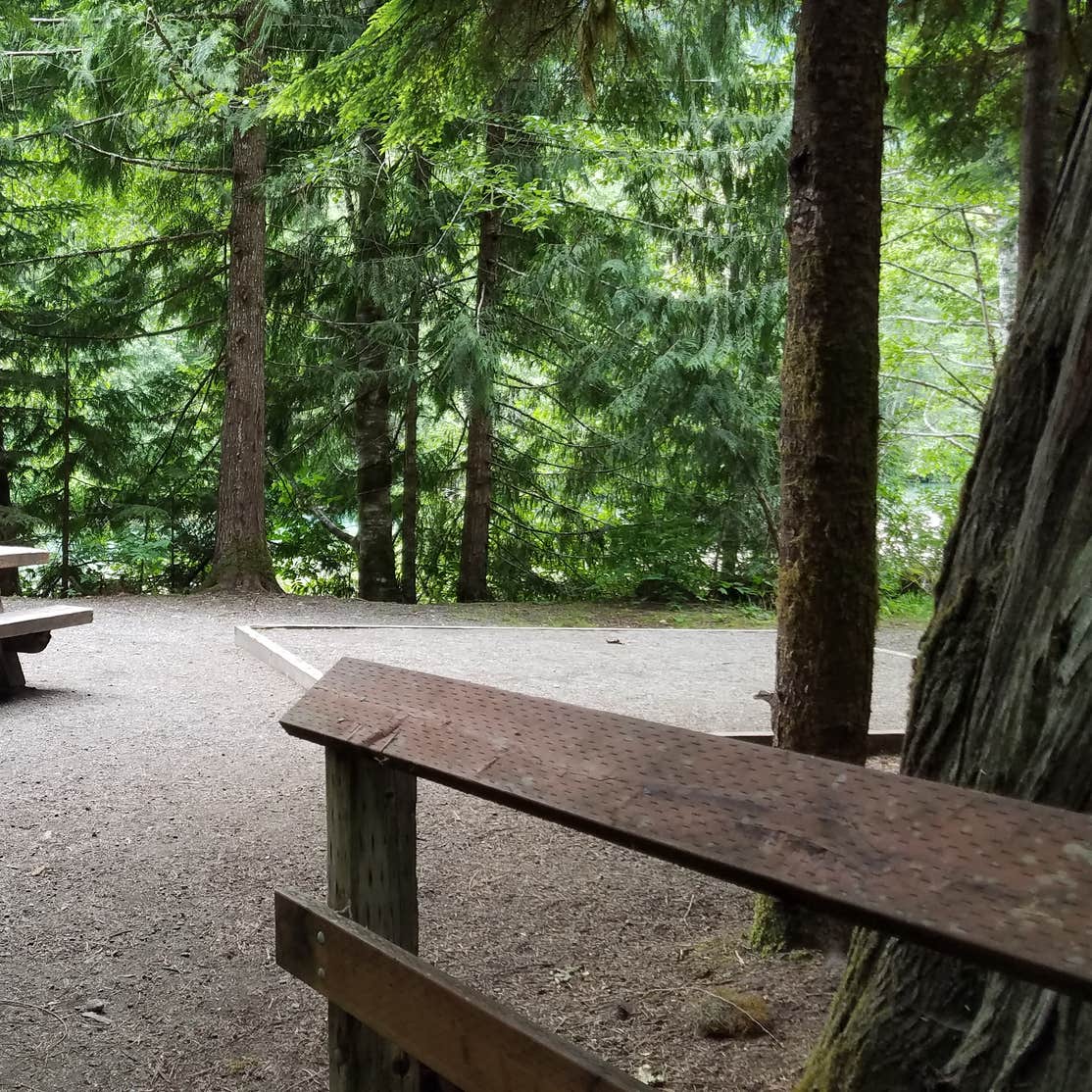 Silver Fir Campground | Maple Falls, Washington