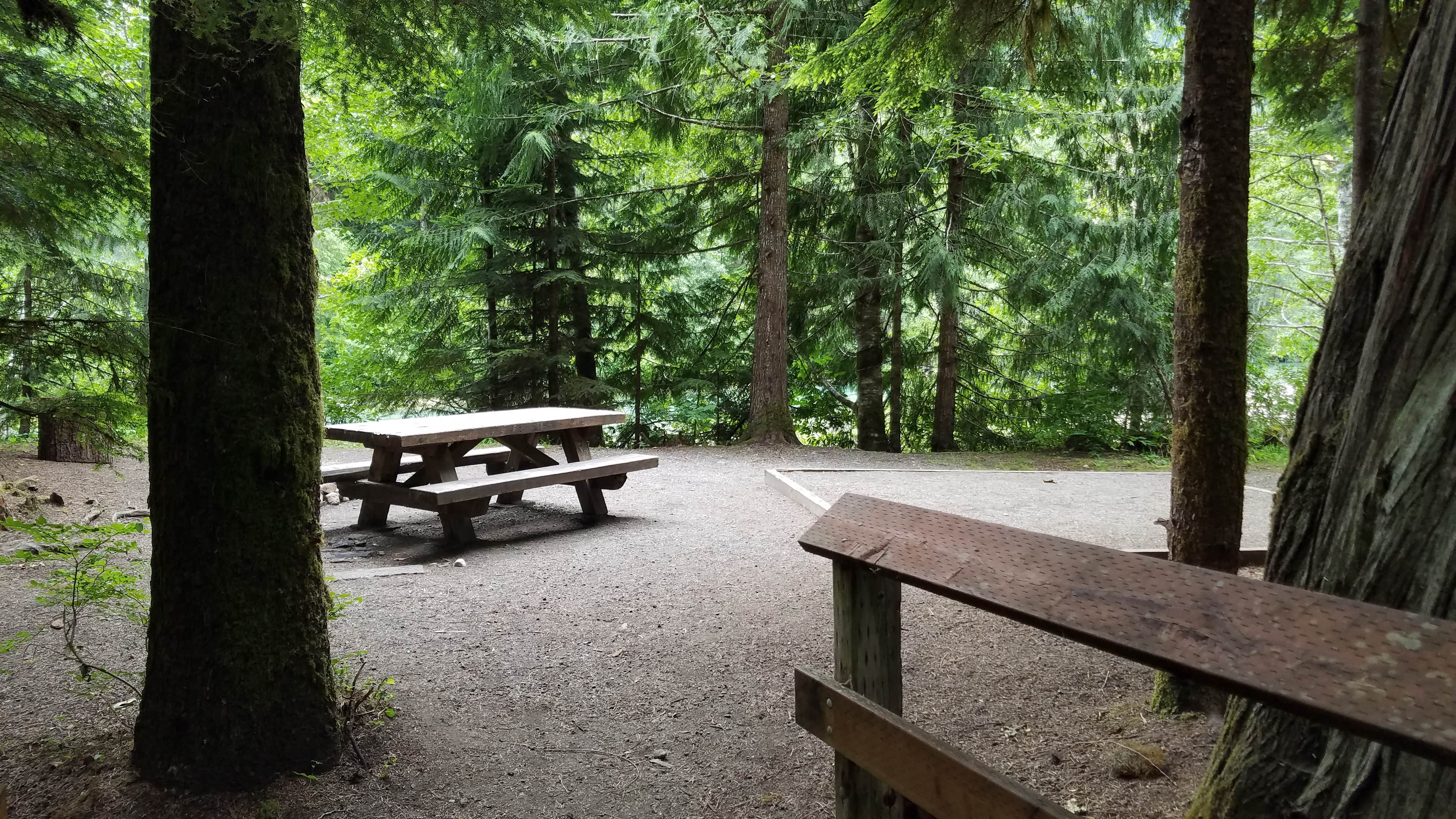 Silver Fir Campground | Maple Falls, Washington