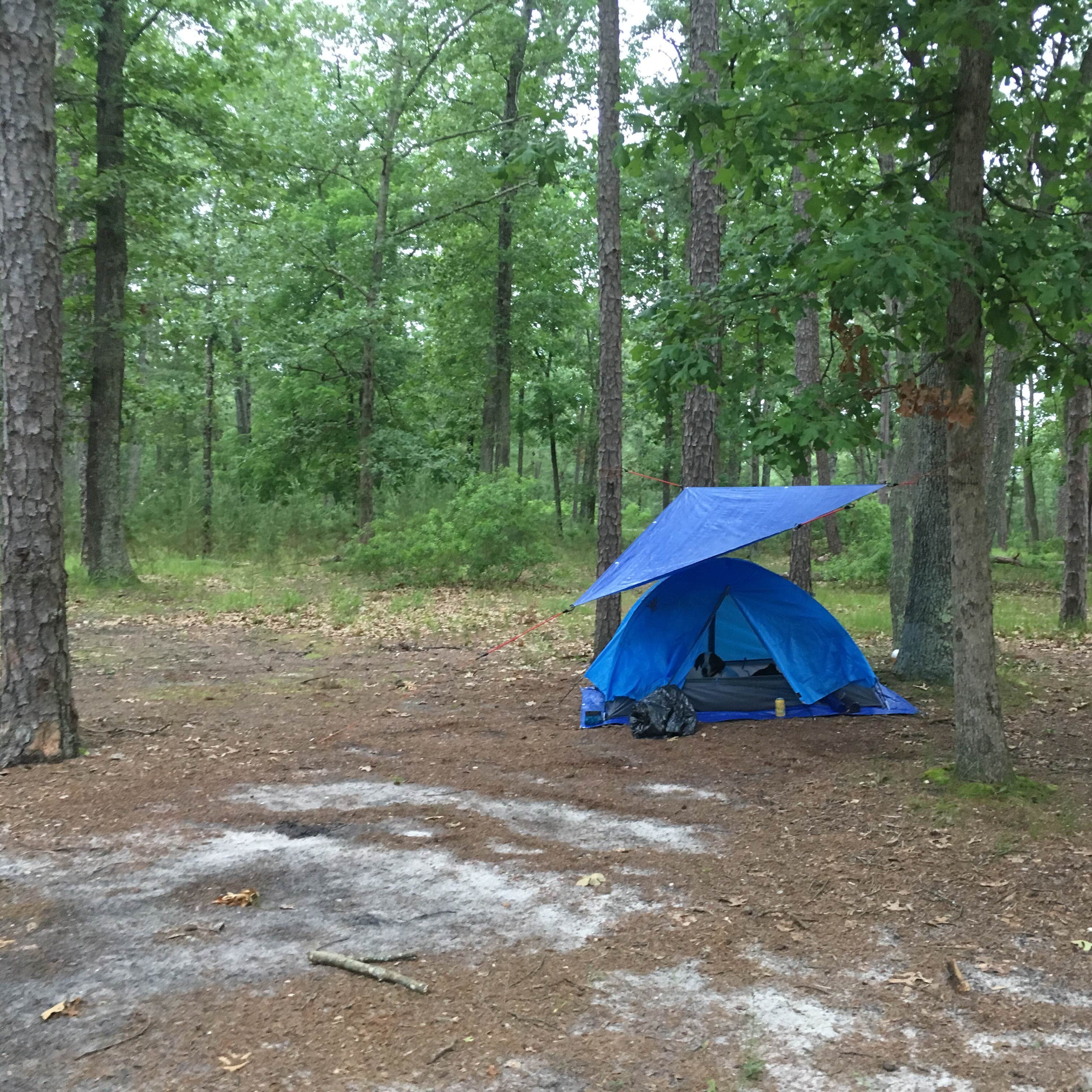 Hawkins Bridge — Wharton State Forest Camping | Chatsworth, New Jersey