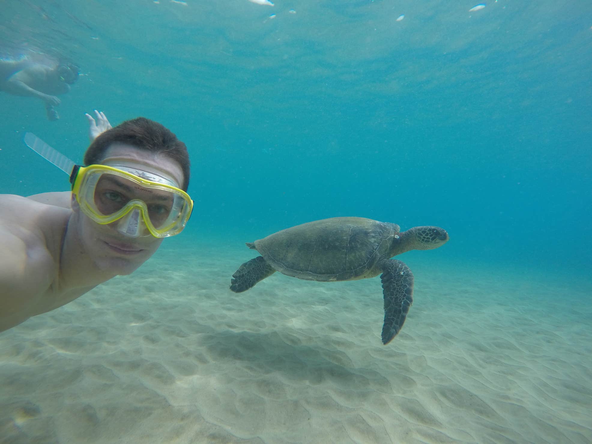 Mahukona Beach Park Camping | The Dyrt