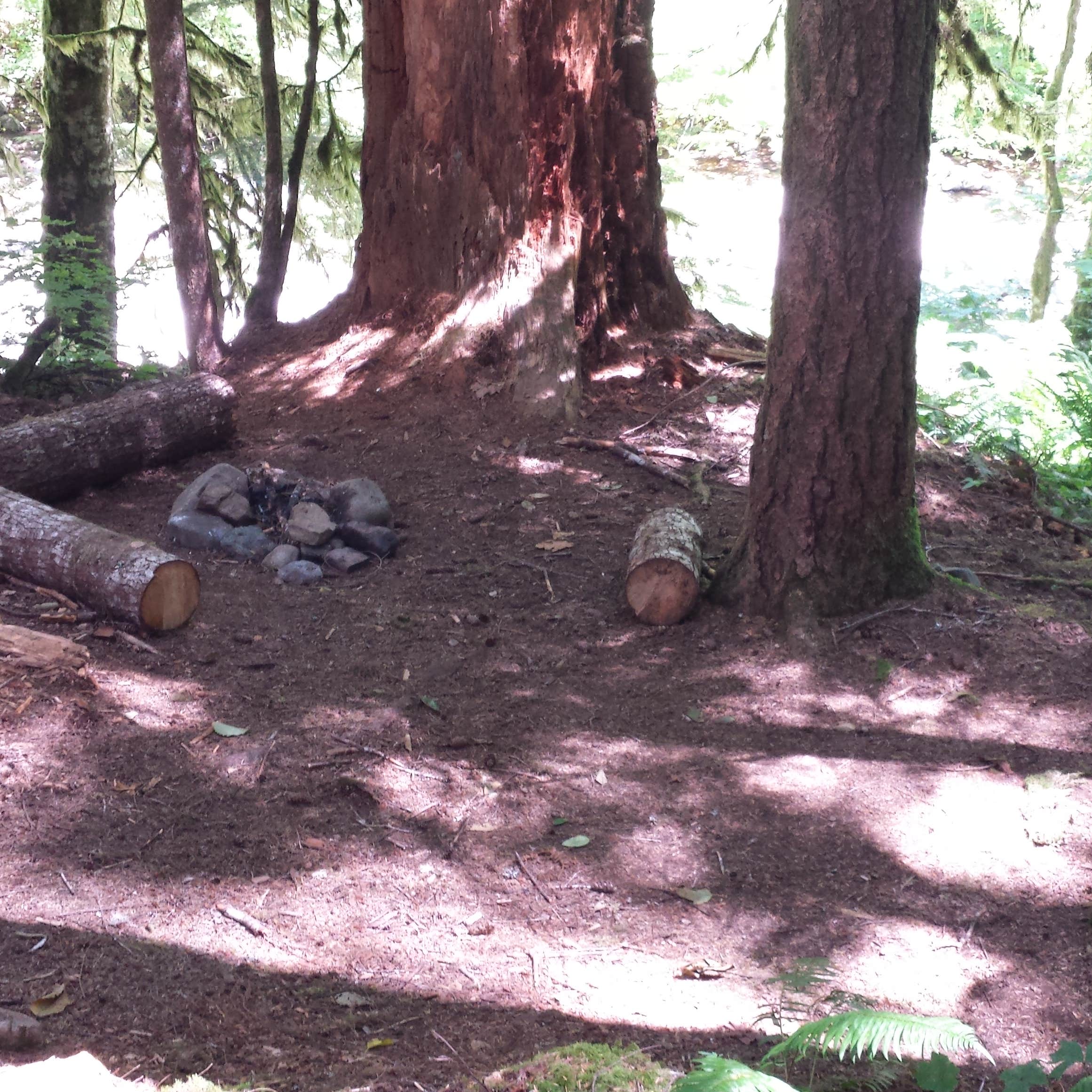 Rock Creek Campground - Yacolt Burn State Forest Camping | The Dyrt