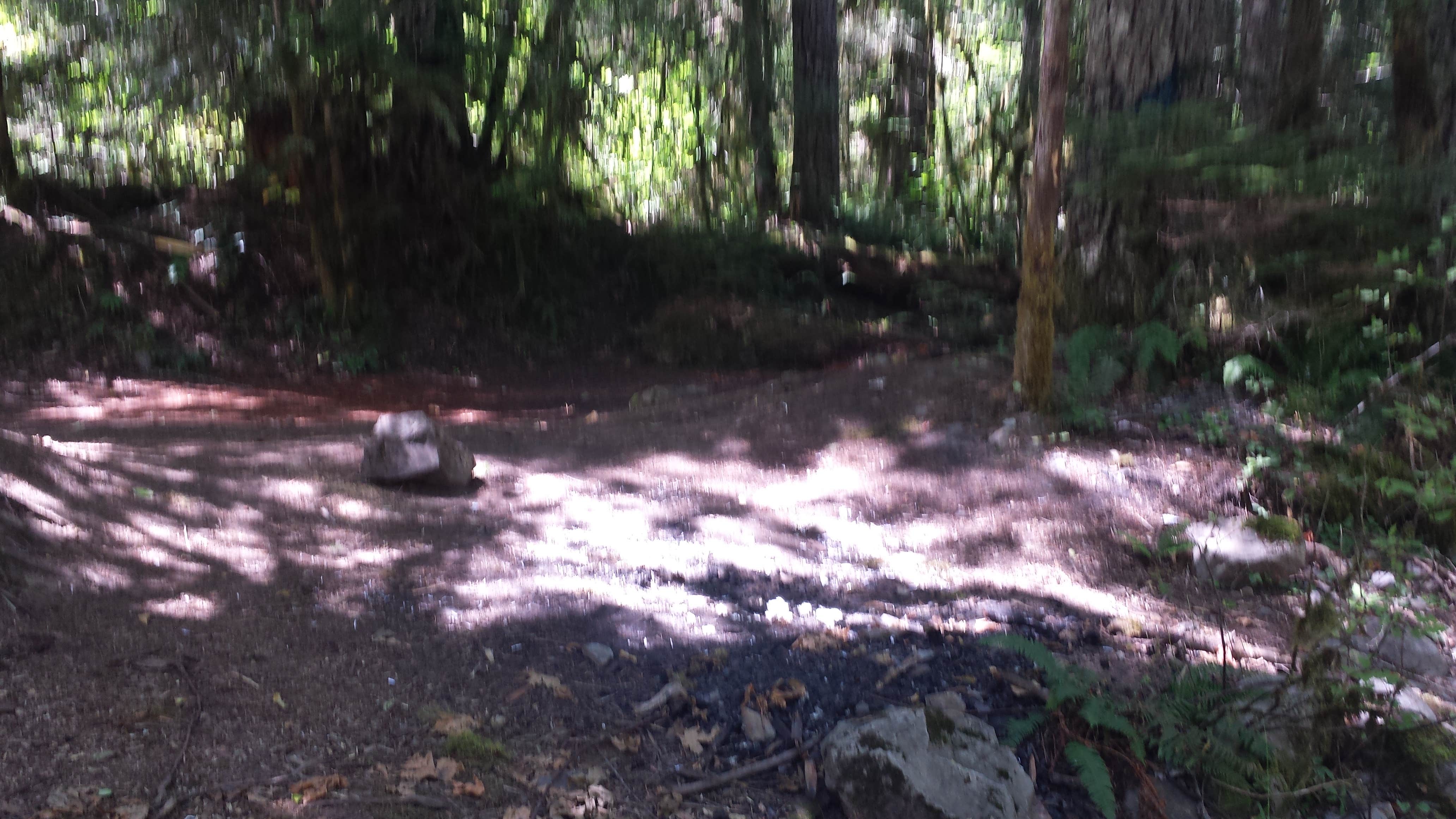 Rock Creek Campground - Yacolt Burn State Forest | Yacolt, WA