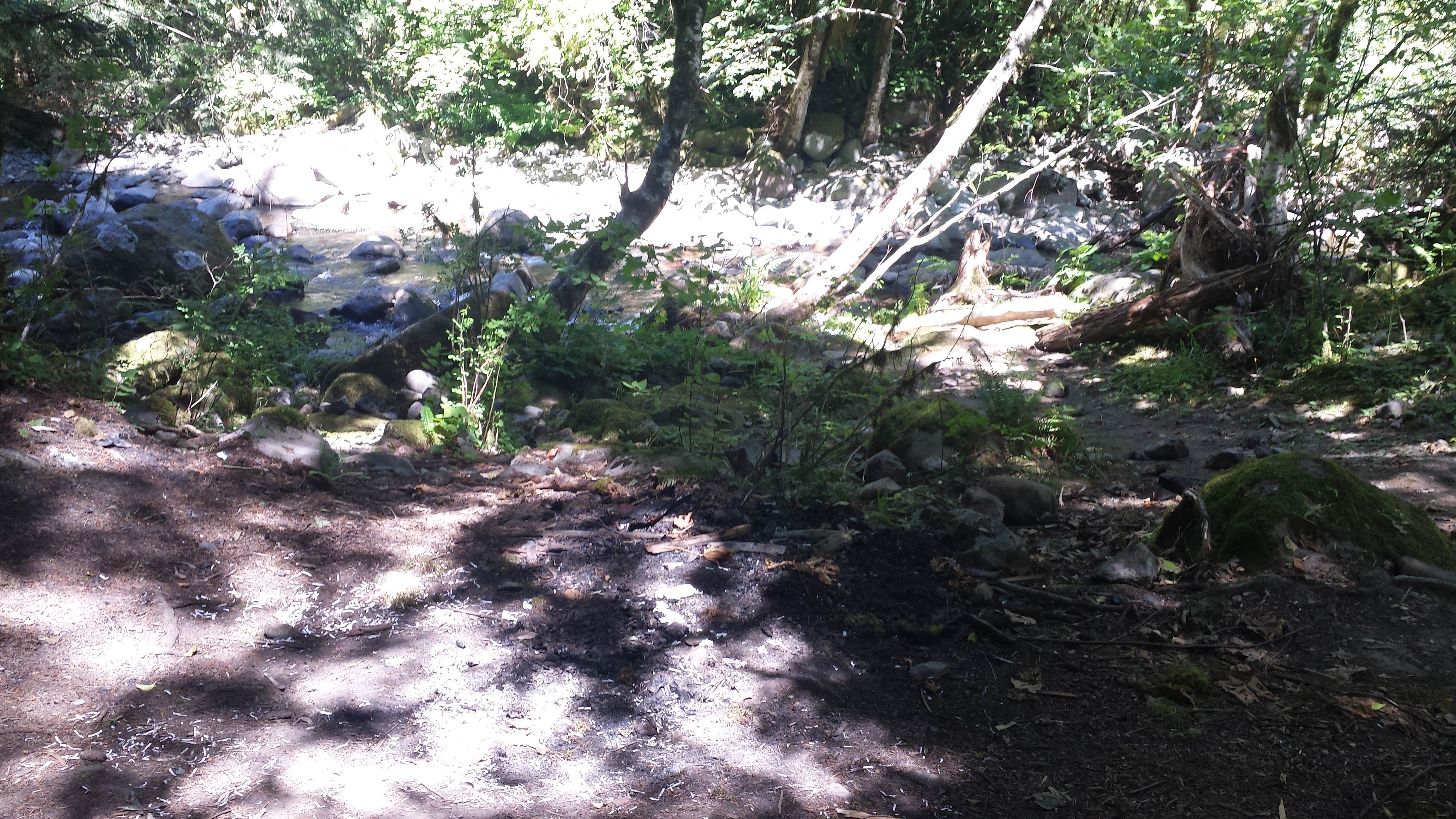 Rock Creek Campground - Yacolt Burn State Forest | Yacolt, WA