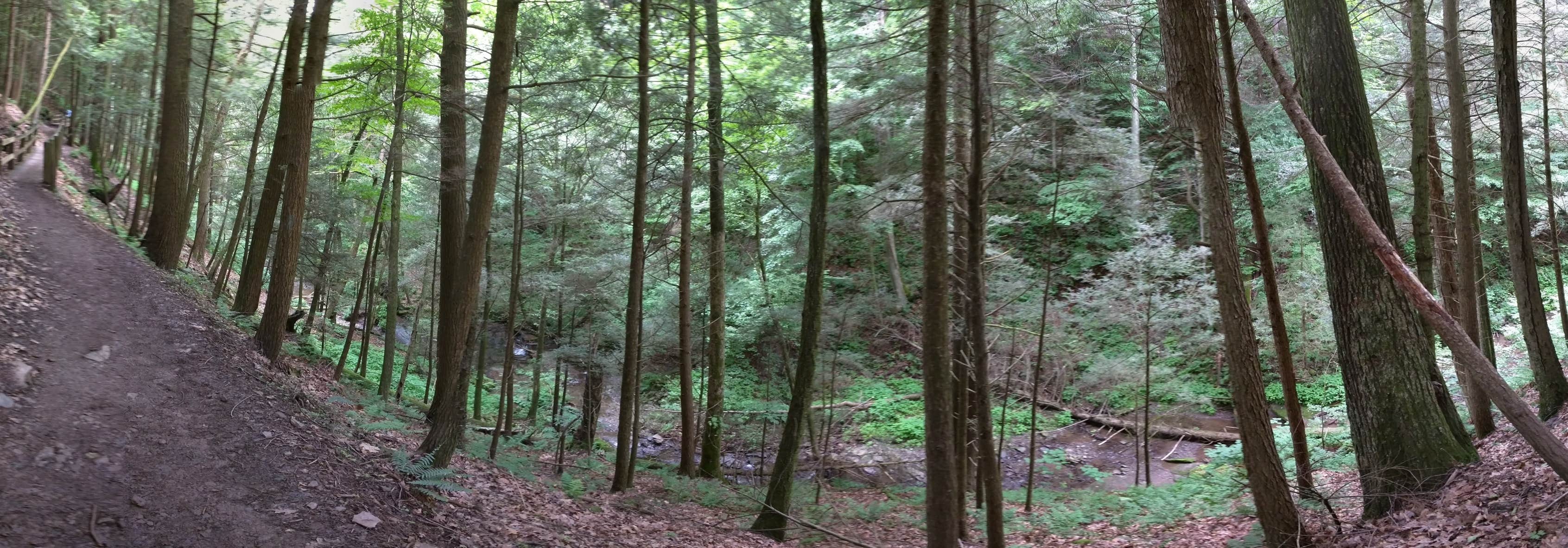 Leonard Harrison State Park — Leonard Harrison State Park Camping ...