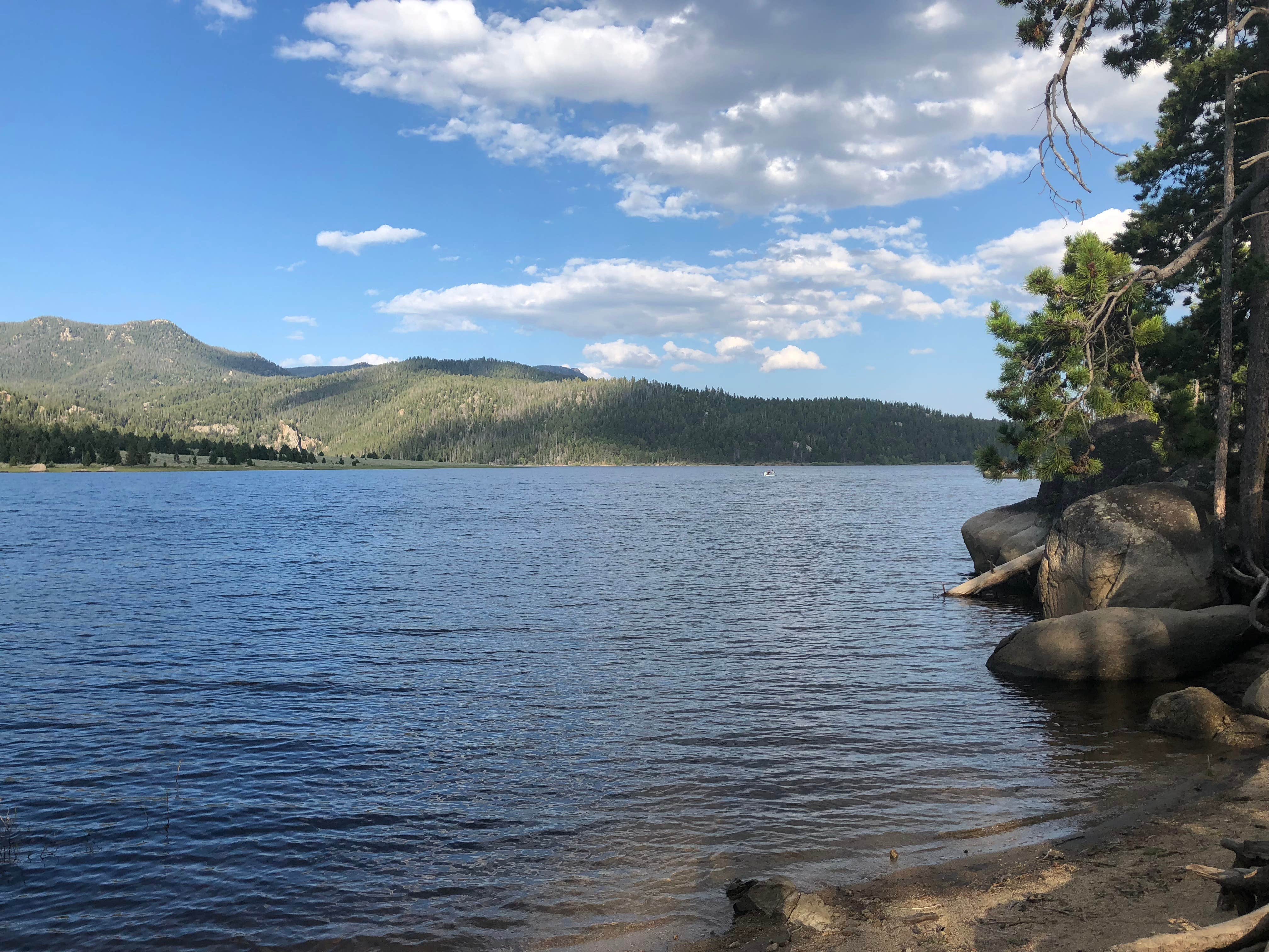 Delmoe Lake Camping | The Dyrt