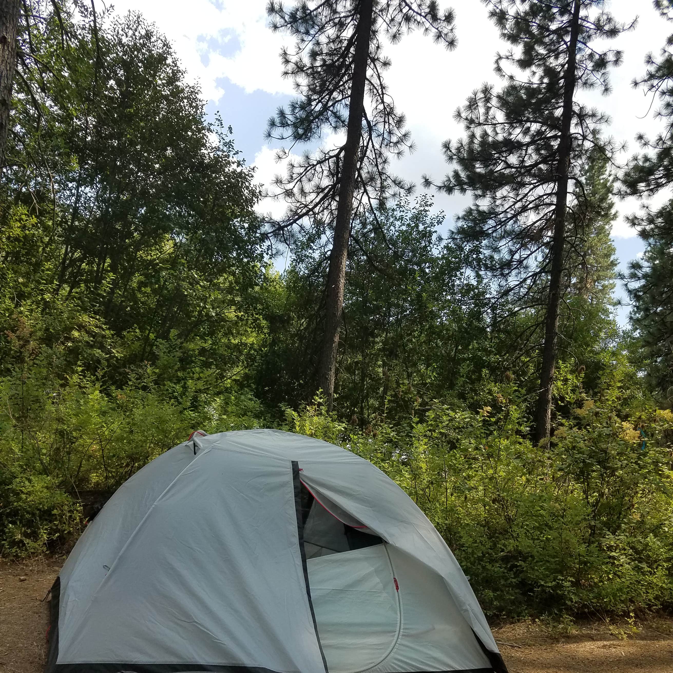 Brooks Memorial State Park Camping | The Dyrt