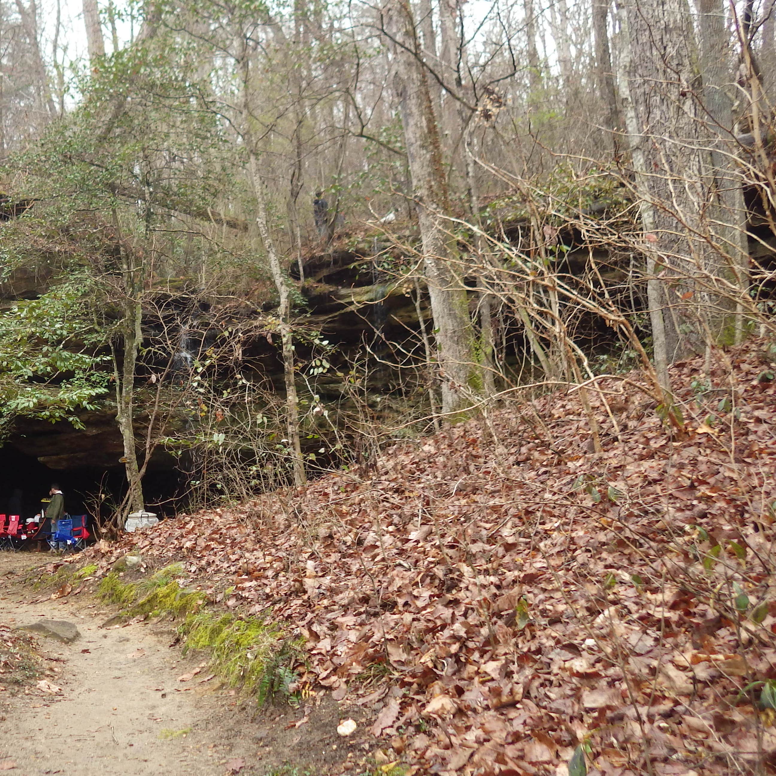 Dismals Canyon Cabins and Primitive Campsites Camping | The Dyrt