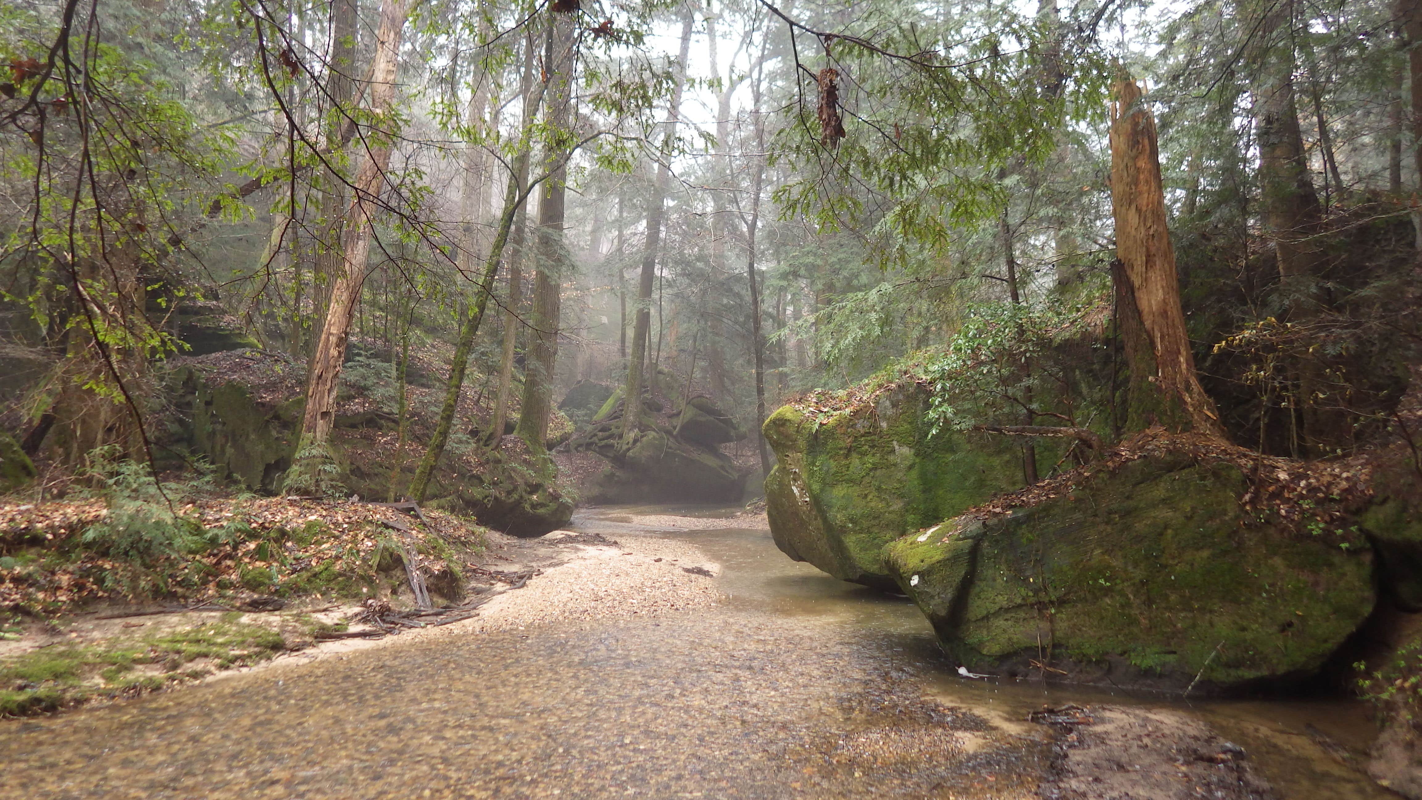 Dismals Canyon Cabins and Primitive Campsites | Hackleburg, Alabama